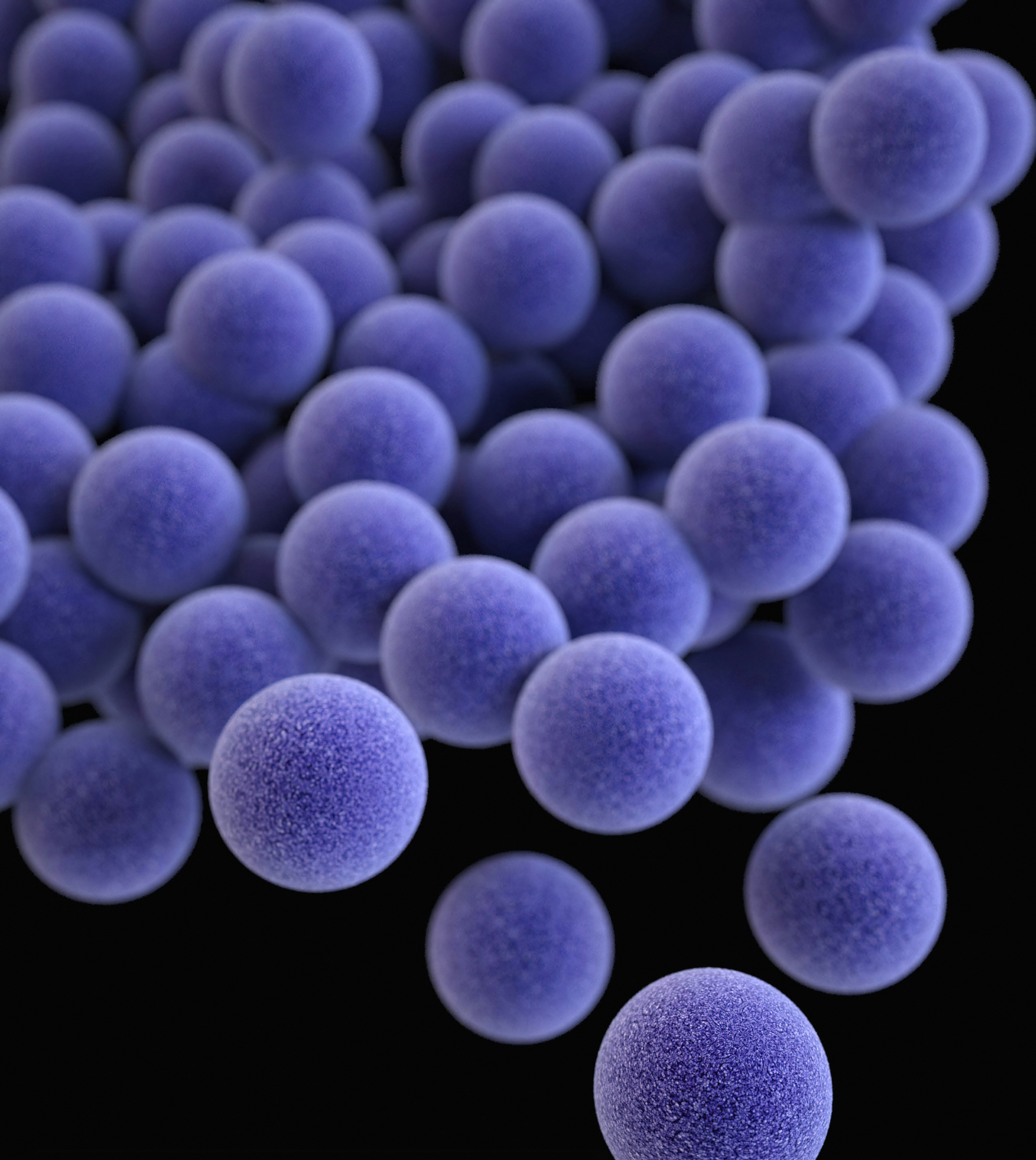 Microbiology Pictures | Download Free Images on Unsplash