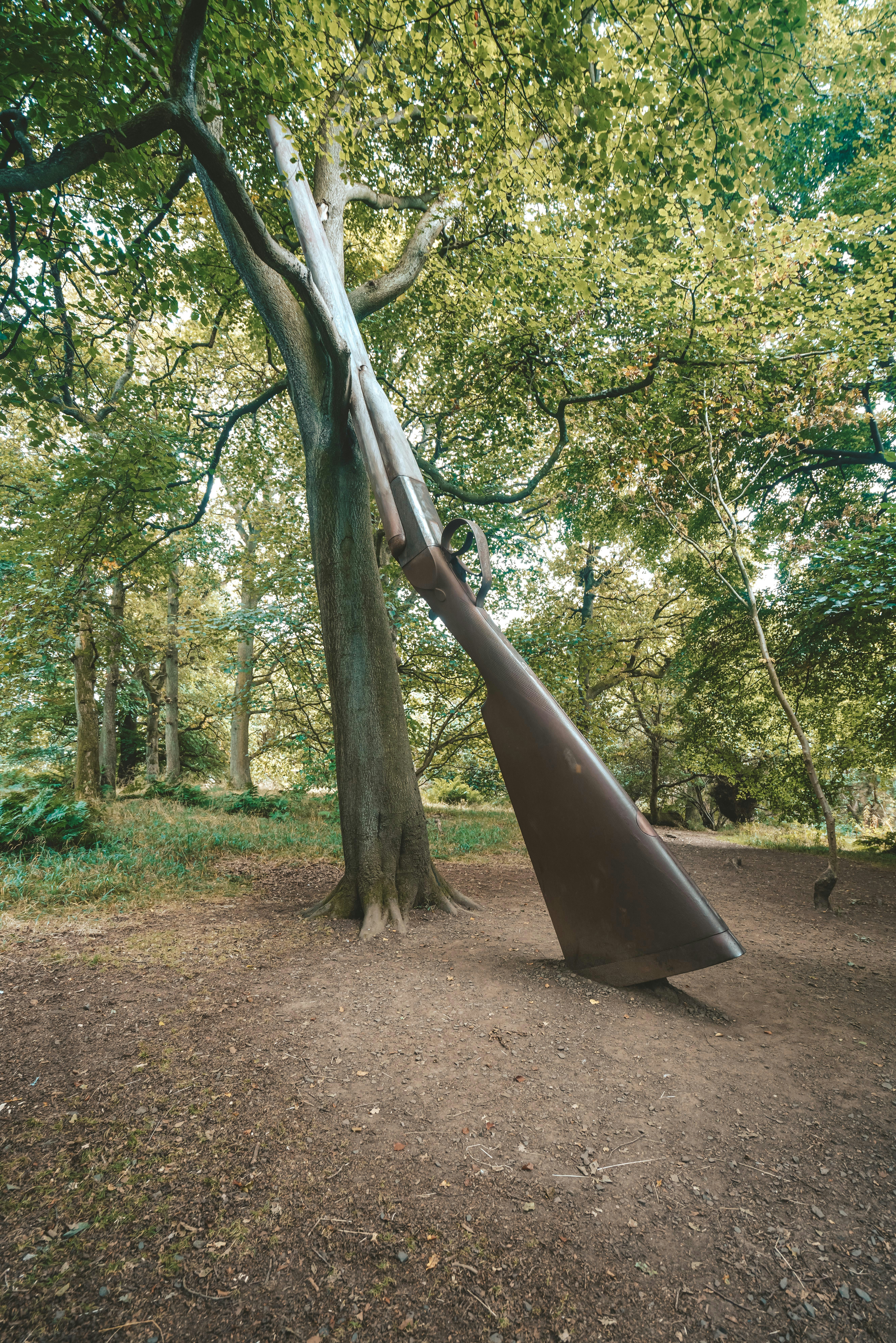 Une sculpture d’un grand objet métallique long au milieu d’une forêt ...