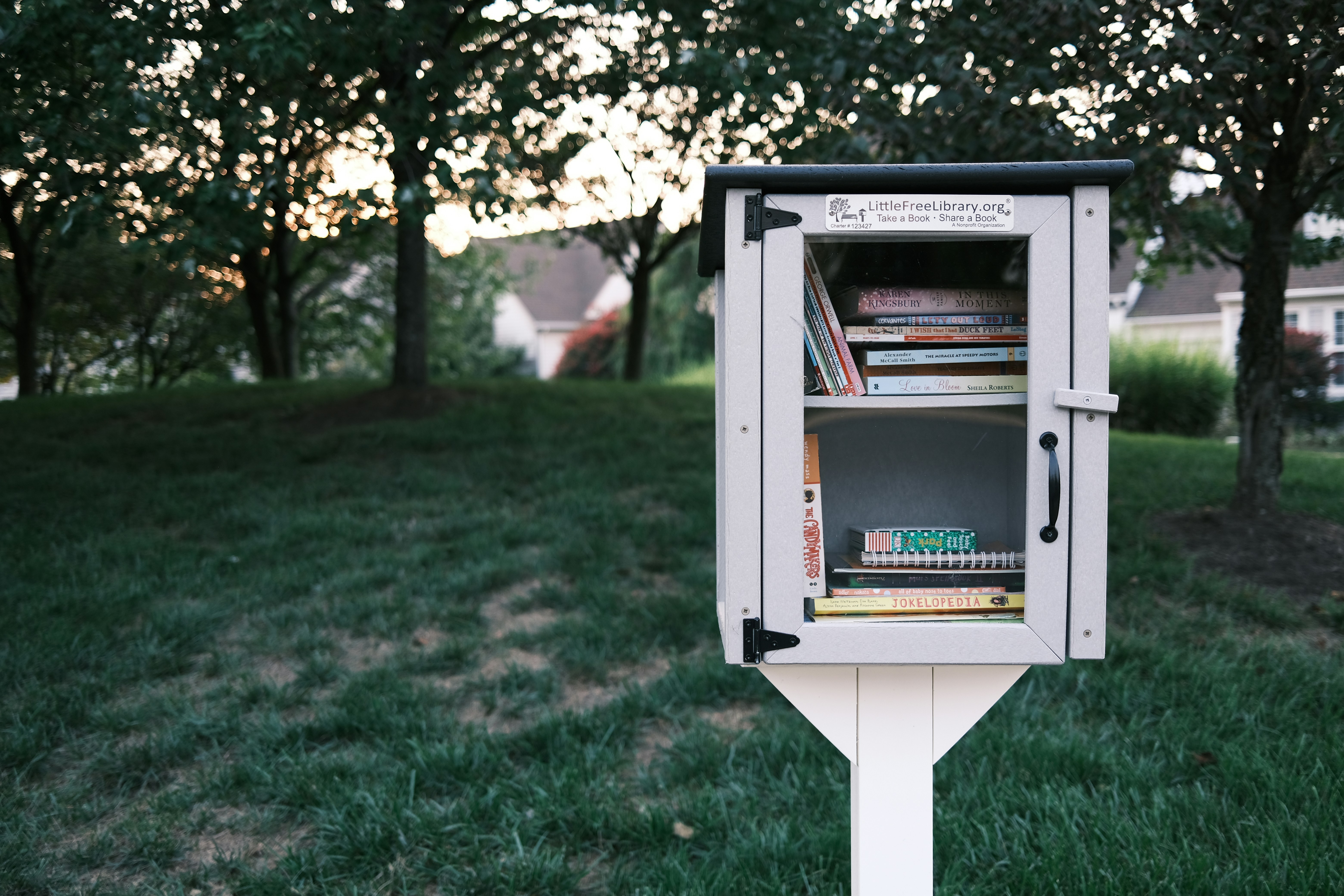A mailbox sitting in the middle of a grassy field photo – Free Mailbox ...