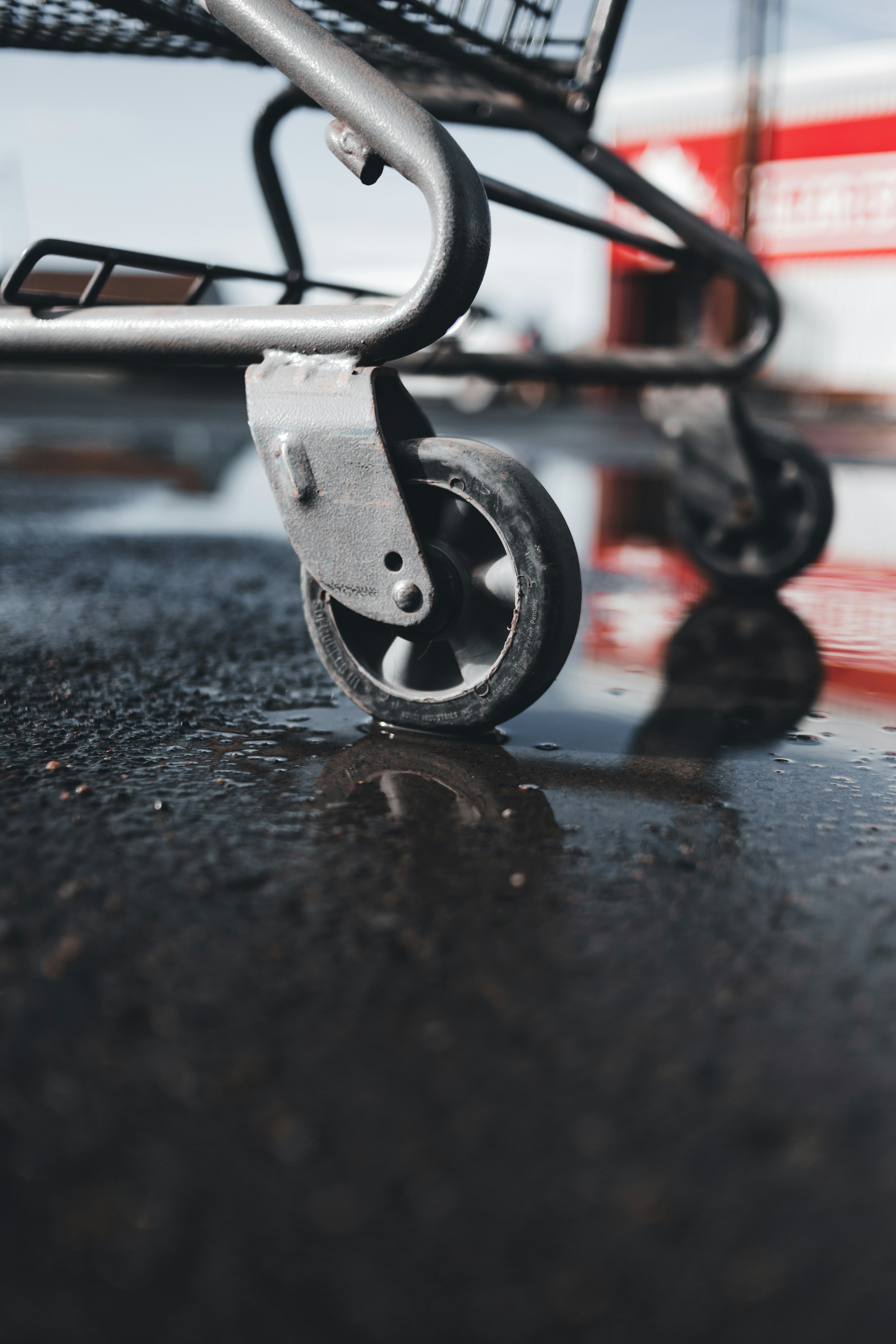 Wheels in Wet Reflection: The Grounded Frame of a Shopping Cart