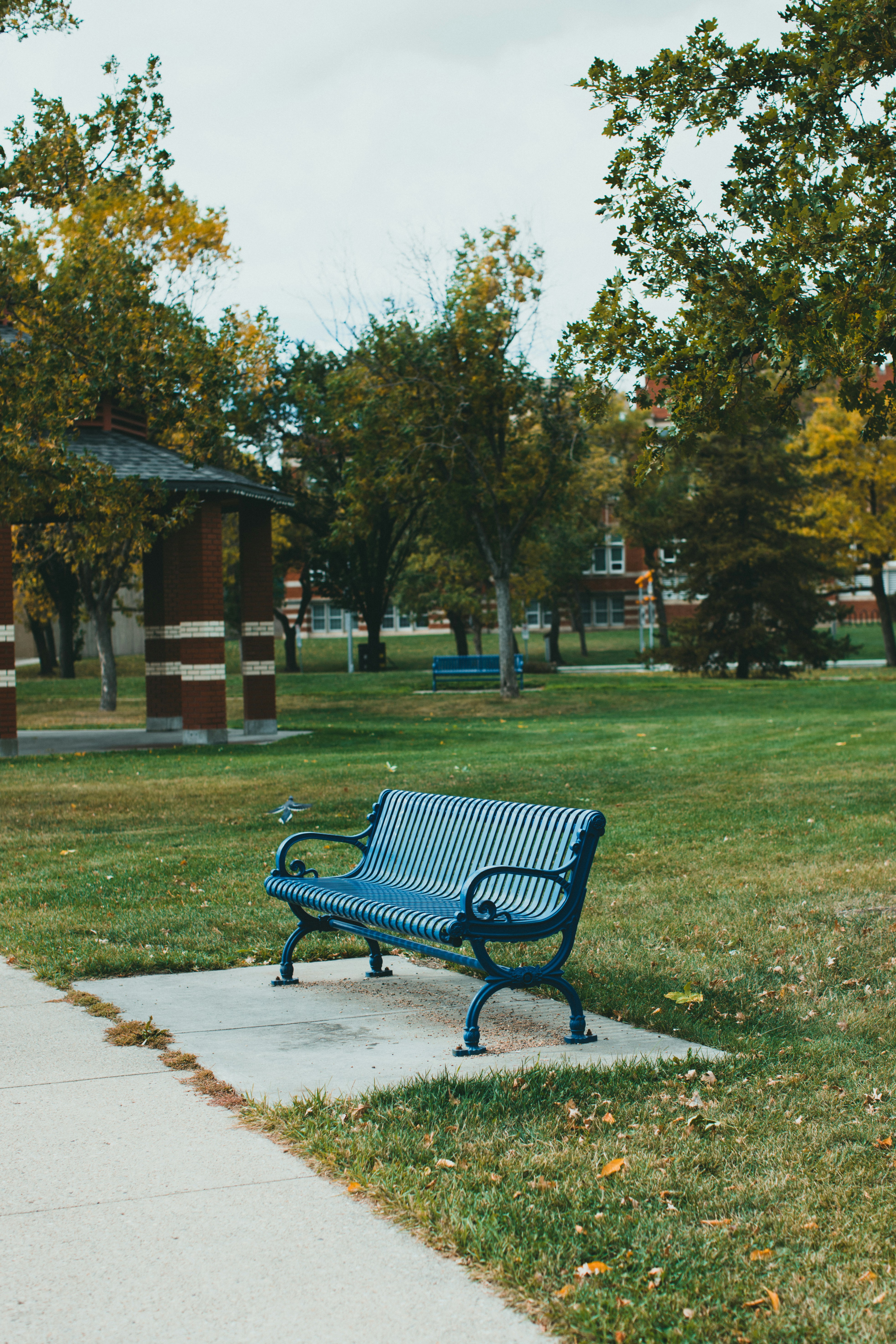 A blue park bench sits quietly on a grassy patch, surrounded by trees showcasing autumn foliage. The scene evokes a sense of tranquility and solitude.