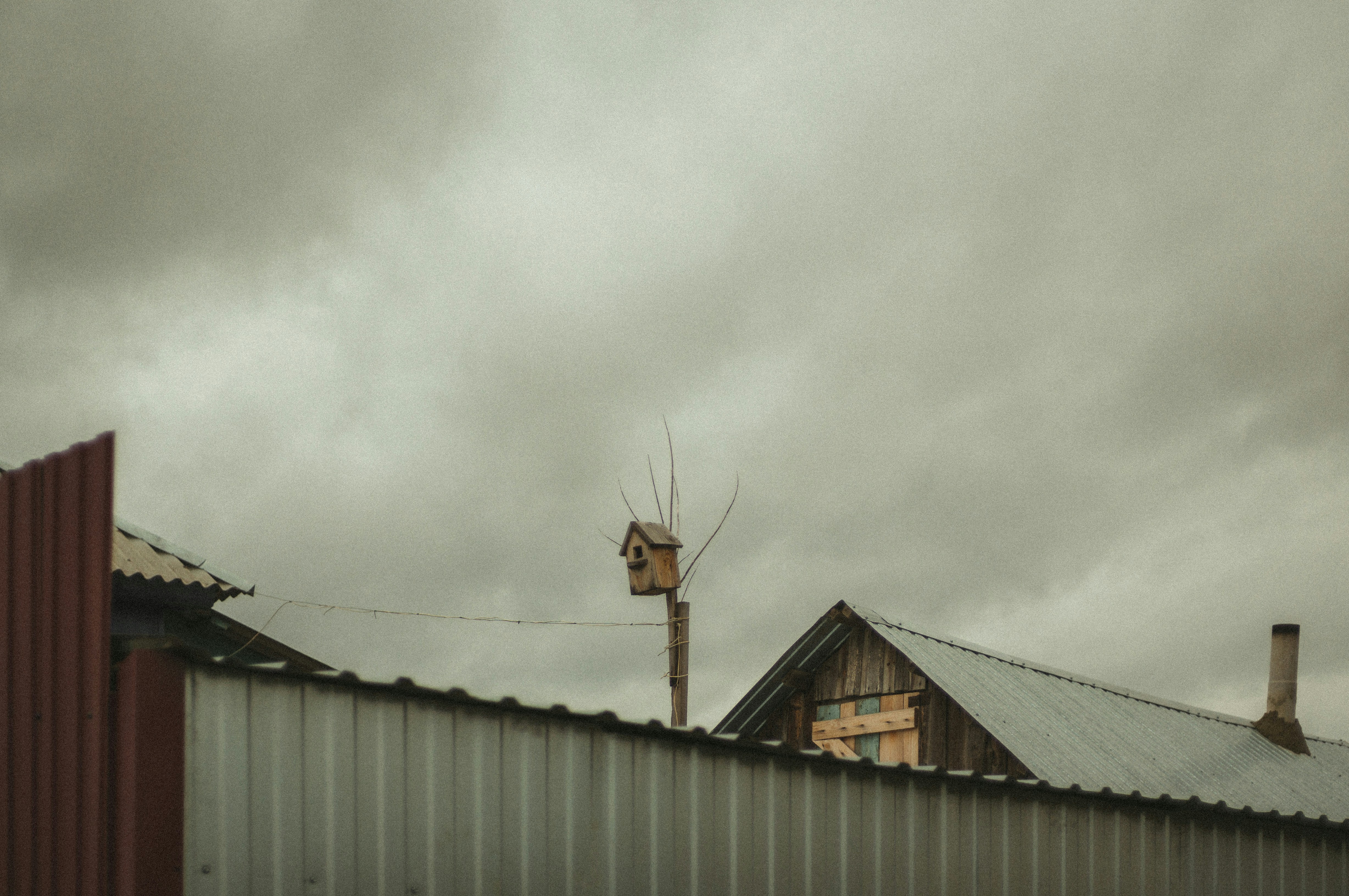 A rustic birdhouse perched atop a pole, framed by weathered rooftops under a moody sky.