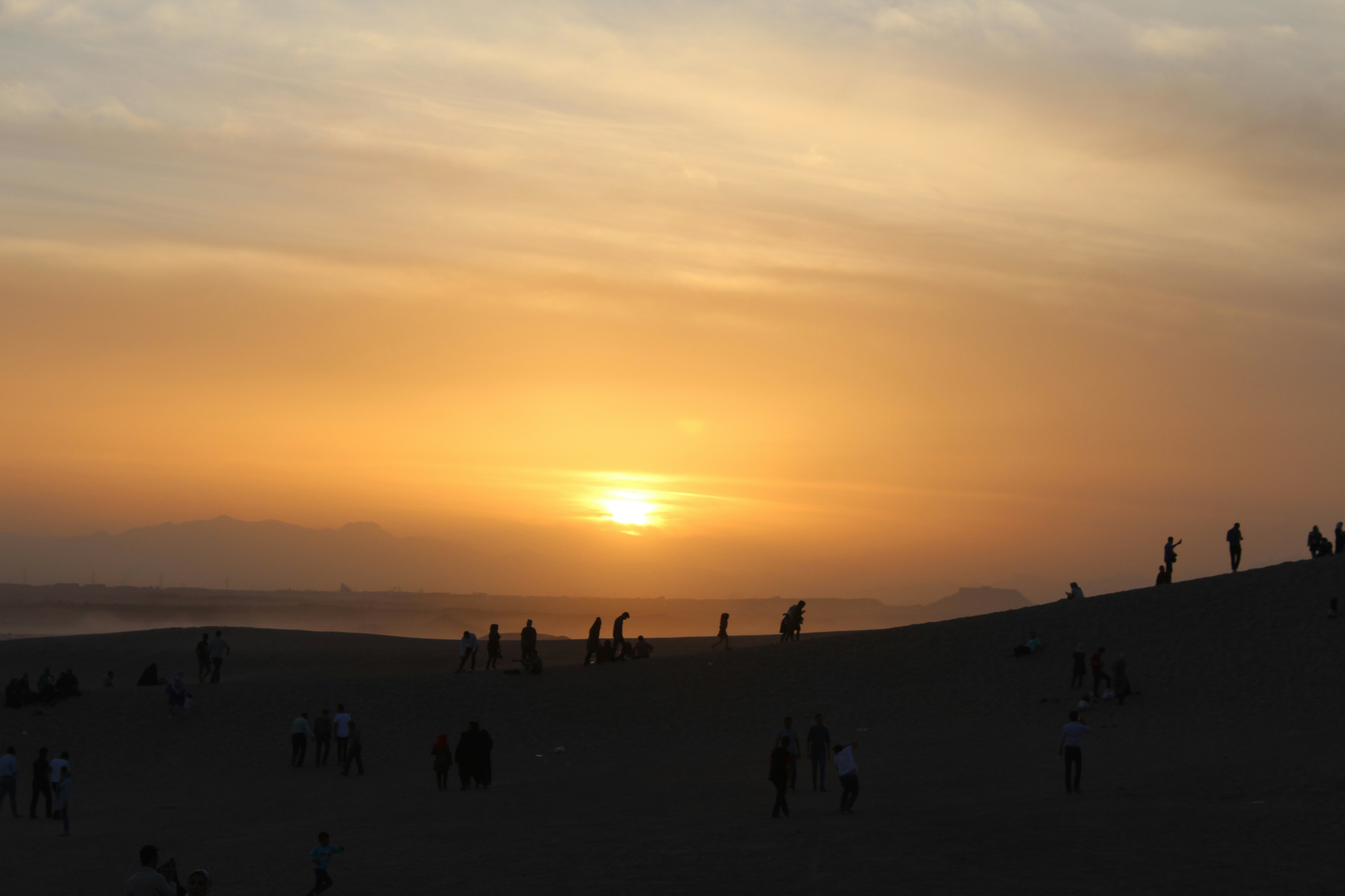 Sunset Dune silhouettes: A Quiet Gathering at Dusk