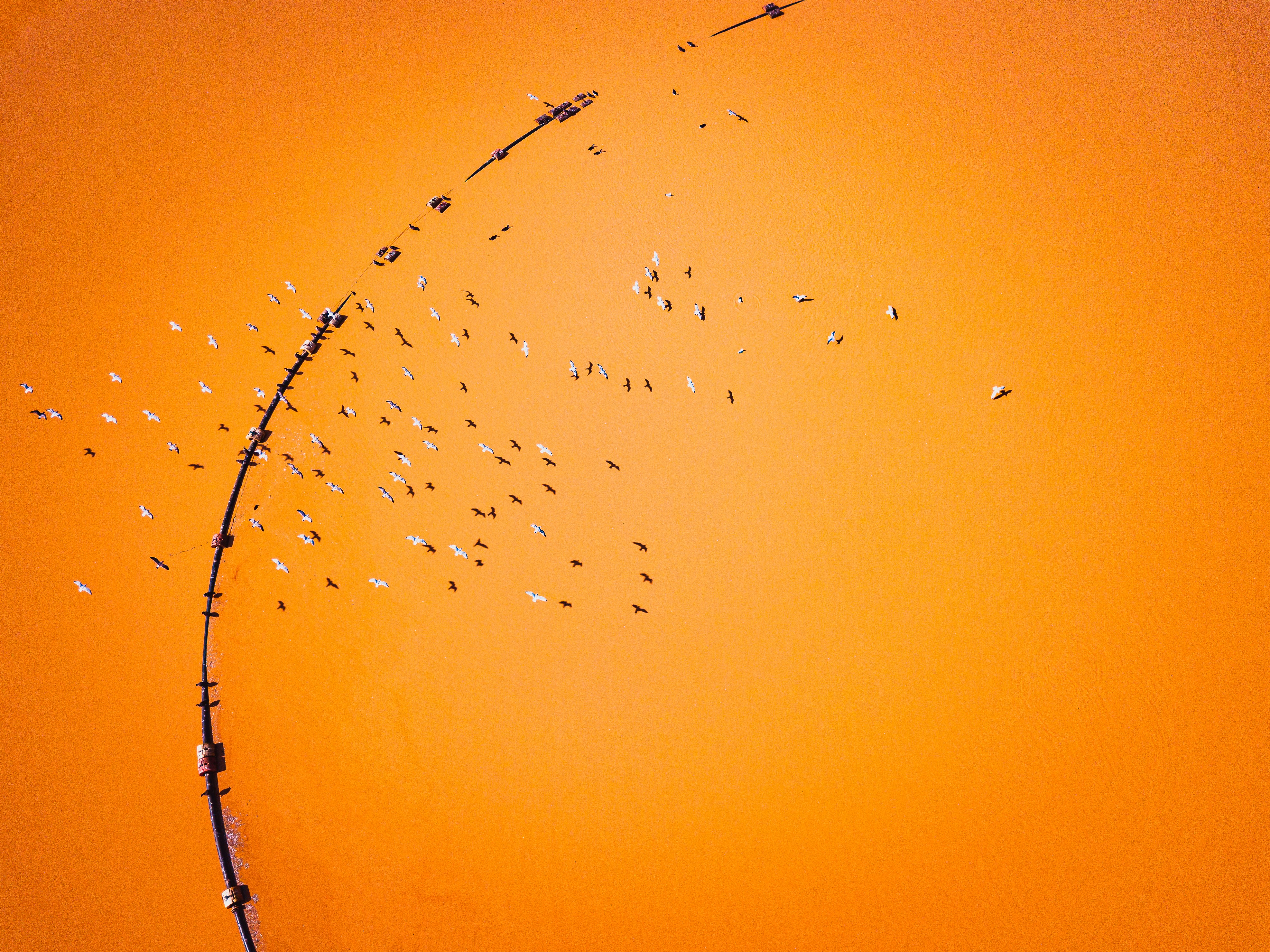 How to unroll Twitter threads: The easiest way to read them!