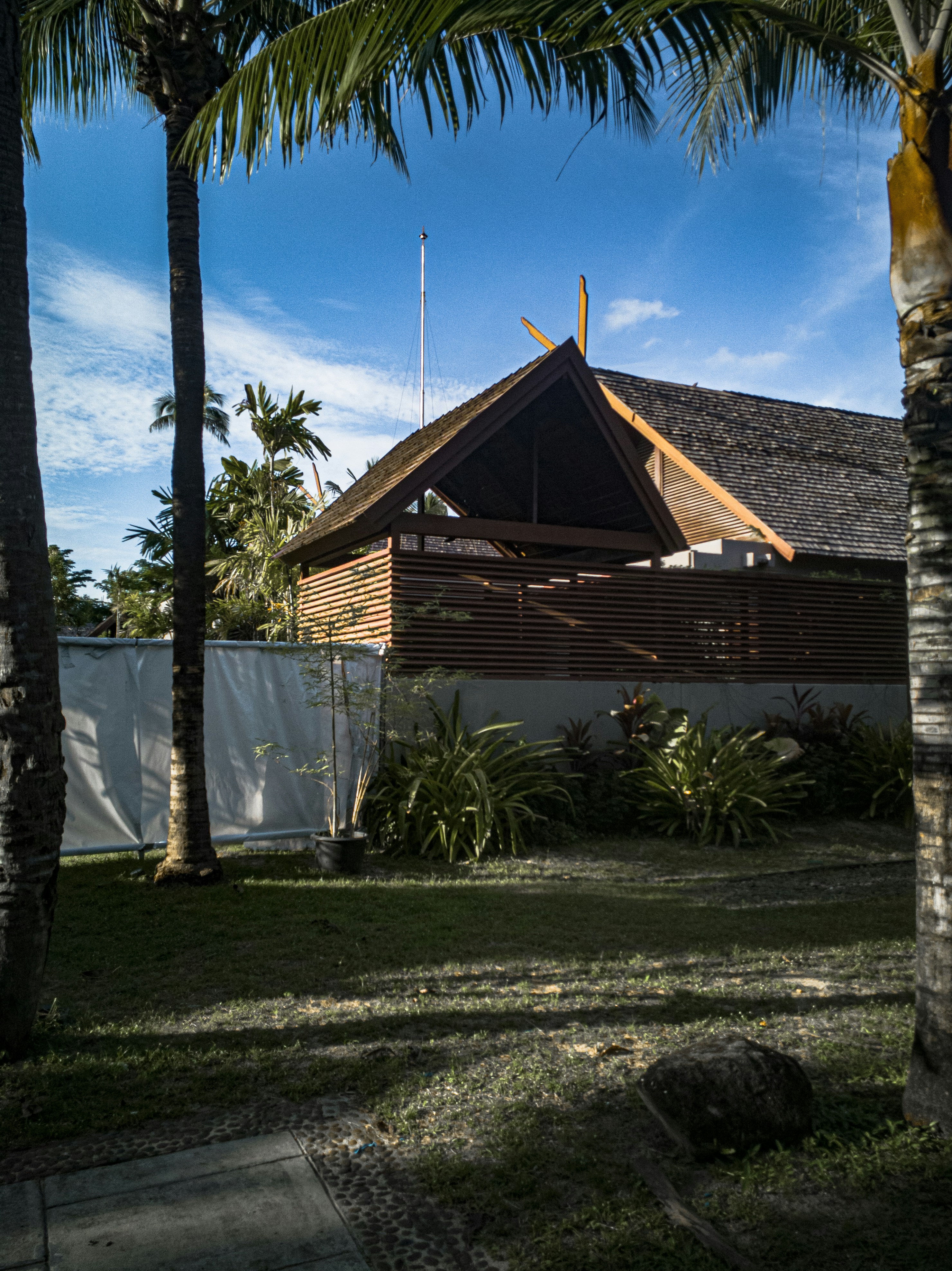 Una casa con techo de madera rodeada de palmeras foto – Imagen de Azul ...