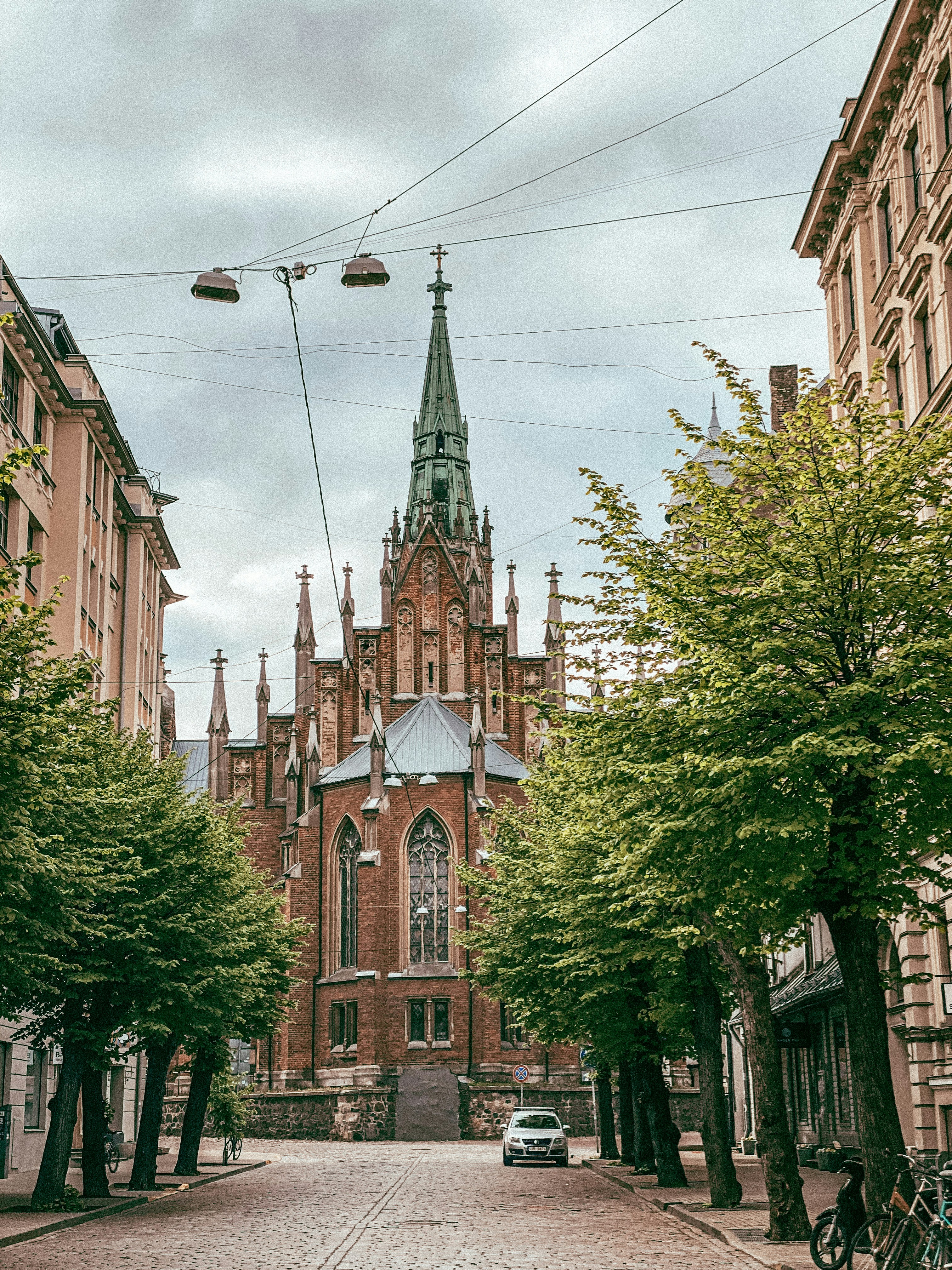 Gothic Cathedral Framed by a Tree-Lined Cobblestone Avenue