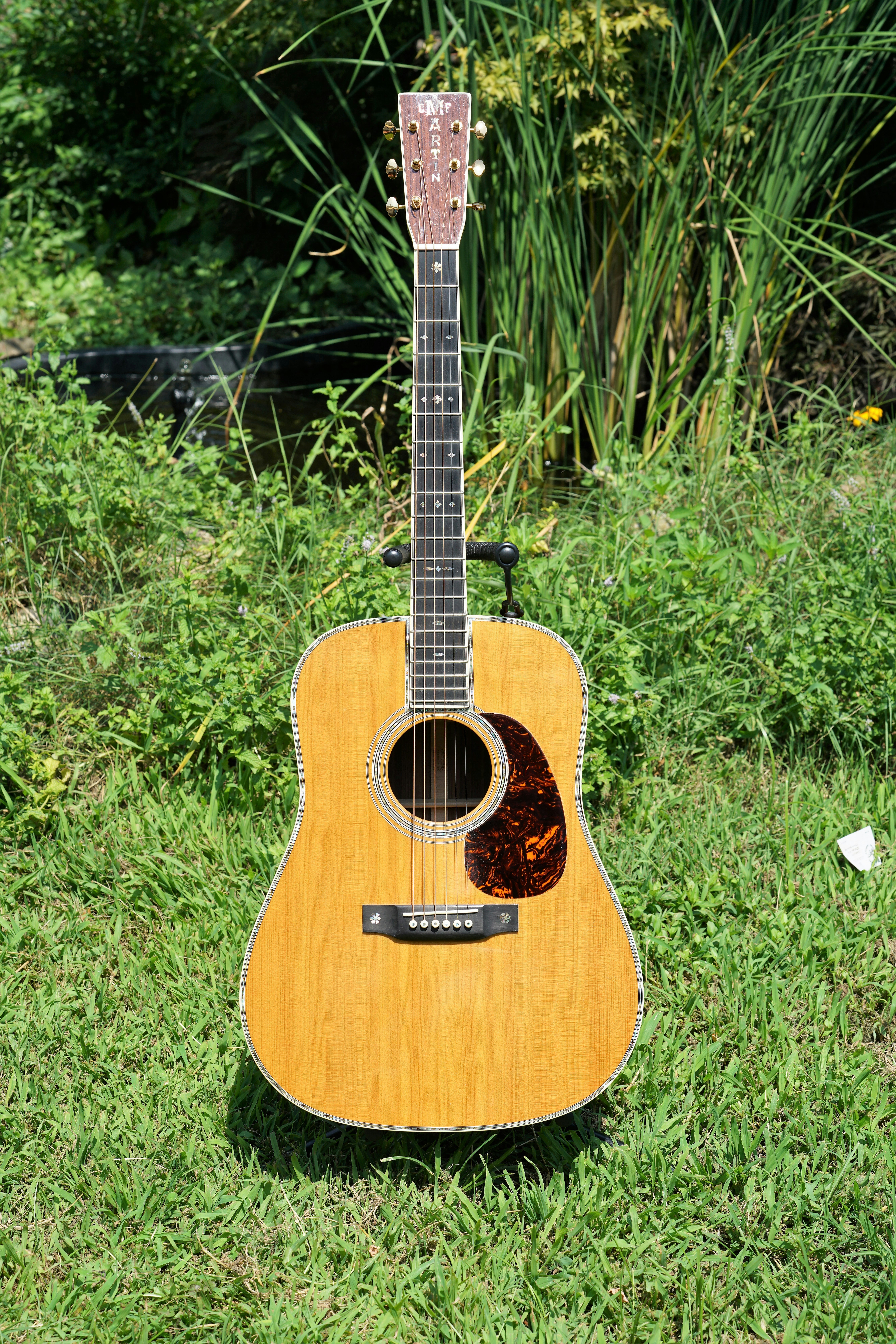 Garden Sentinel: An Acoustic Guitar Standing Tall Among Wild Grass