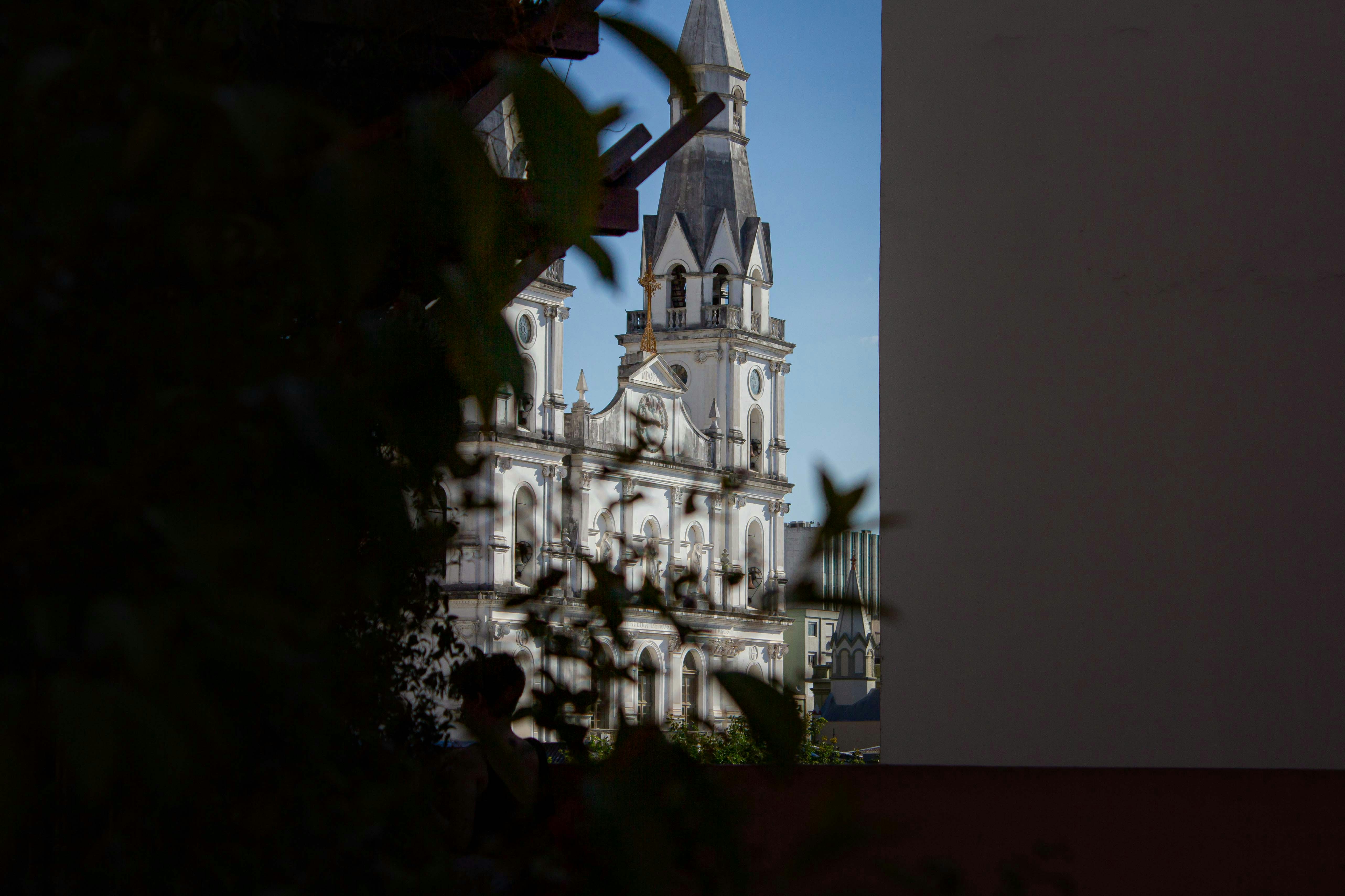 Gothic building with a clock tower peeks through silhouetted foliage under a clear blue sky.