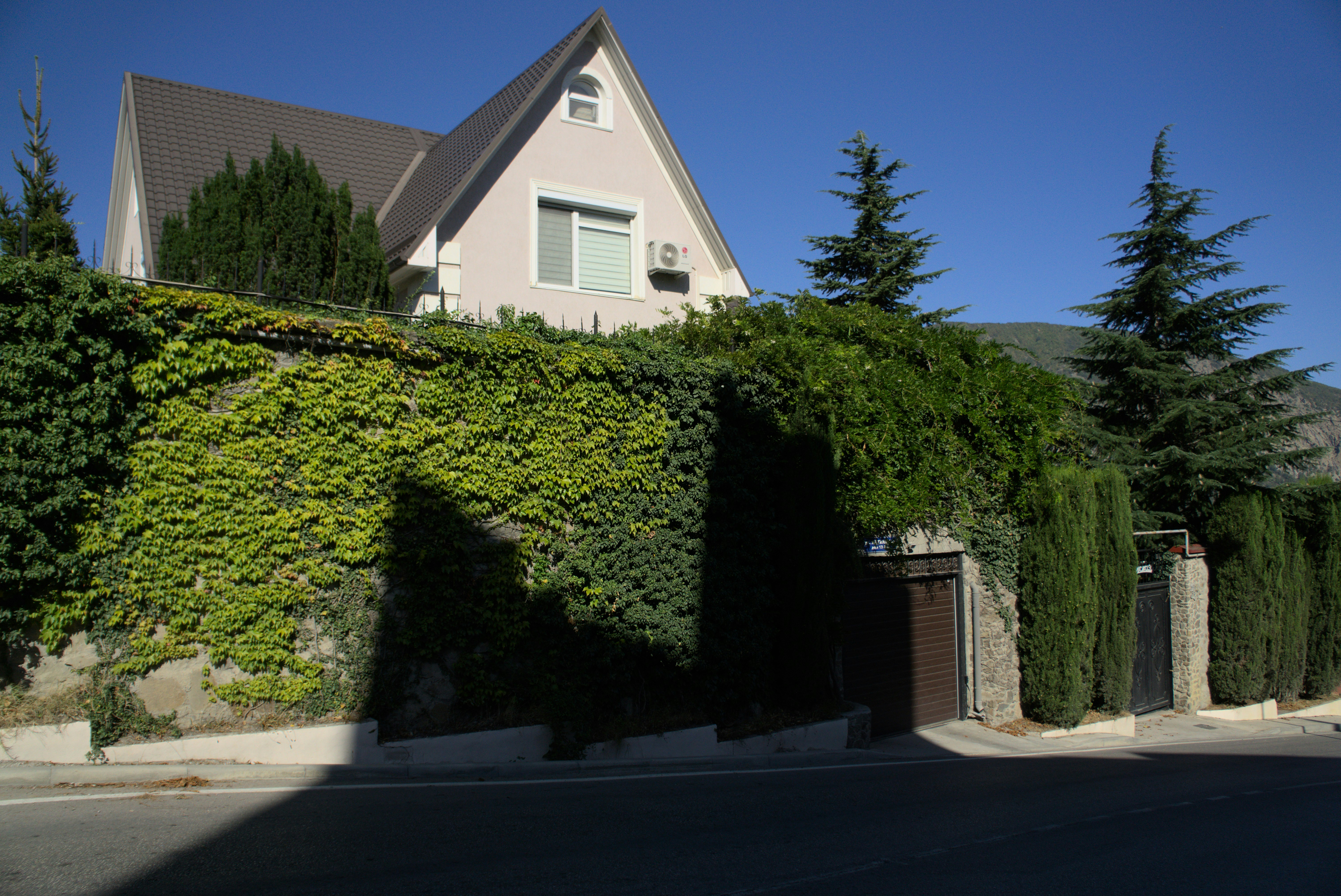 a house covered in vines next to a street