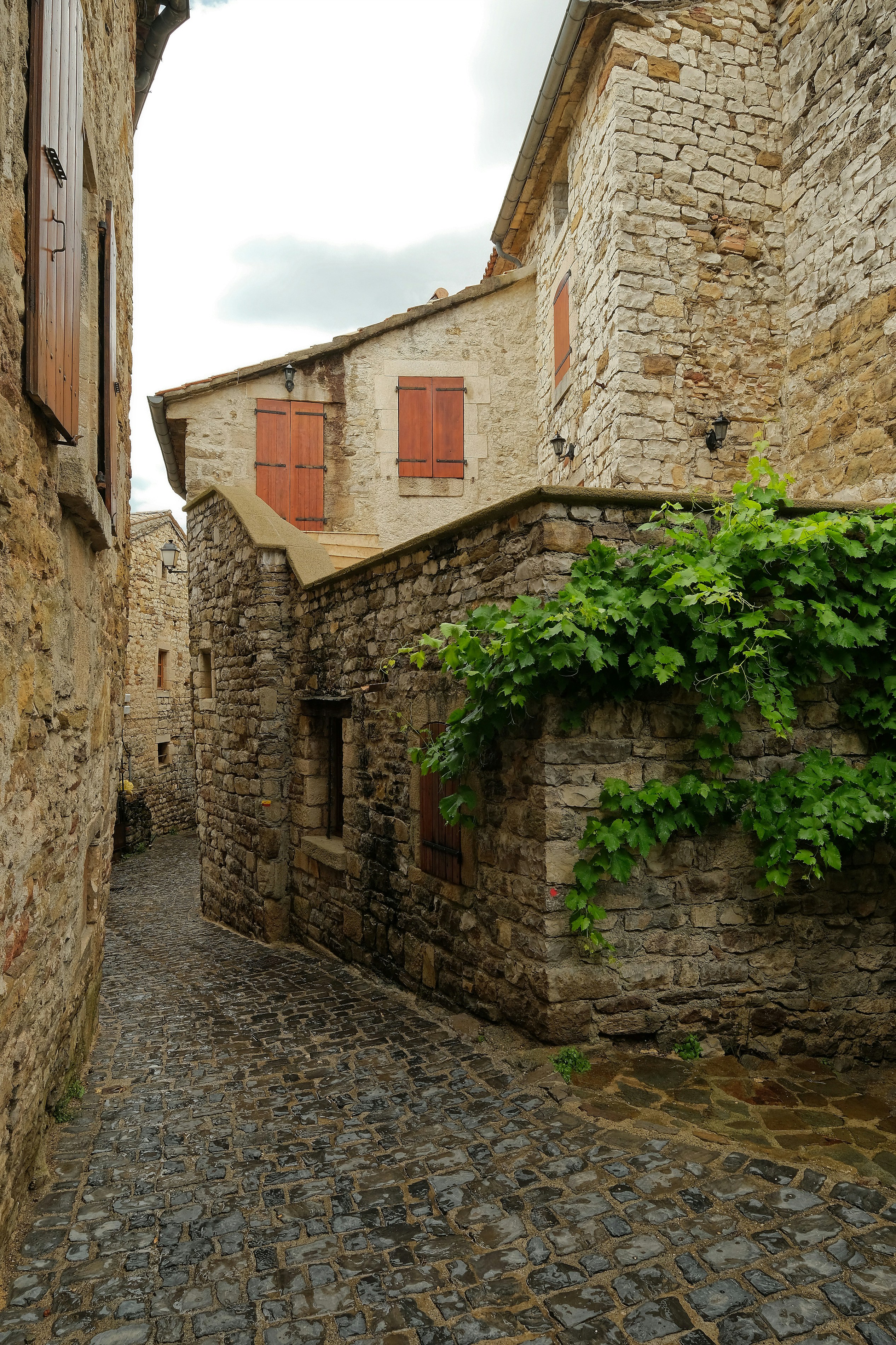 Narrow cobblestone alleyway flanked by rustic stone buildings with wooden shutters, adorned with vibrant green vines.