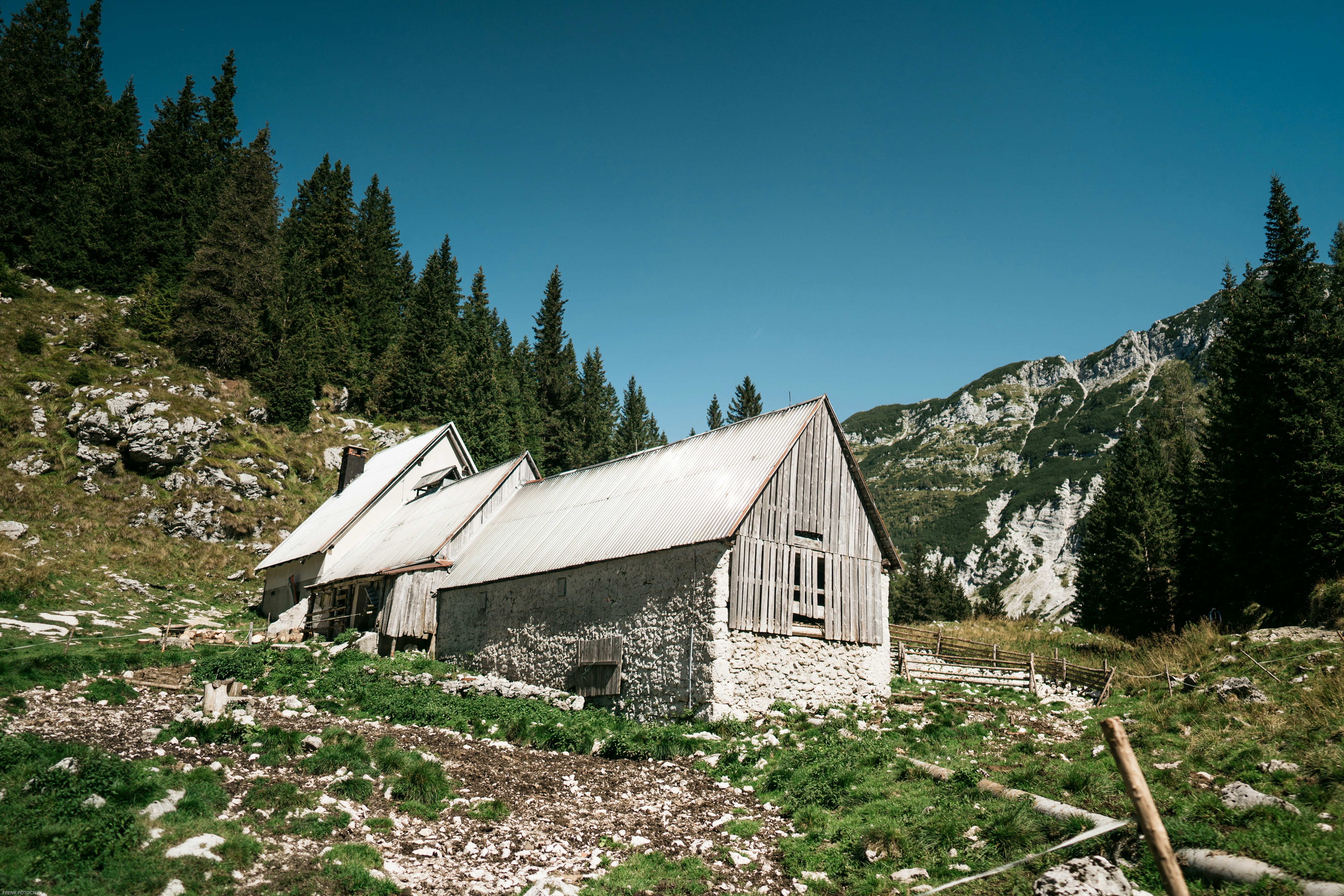 Abandoned rustic cabin nestled in a lush alpine landscape, surrounded by towering trees and majestic mountains. The scene captures a moment of serene solitude.