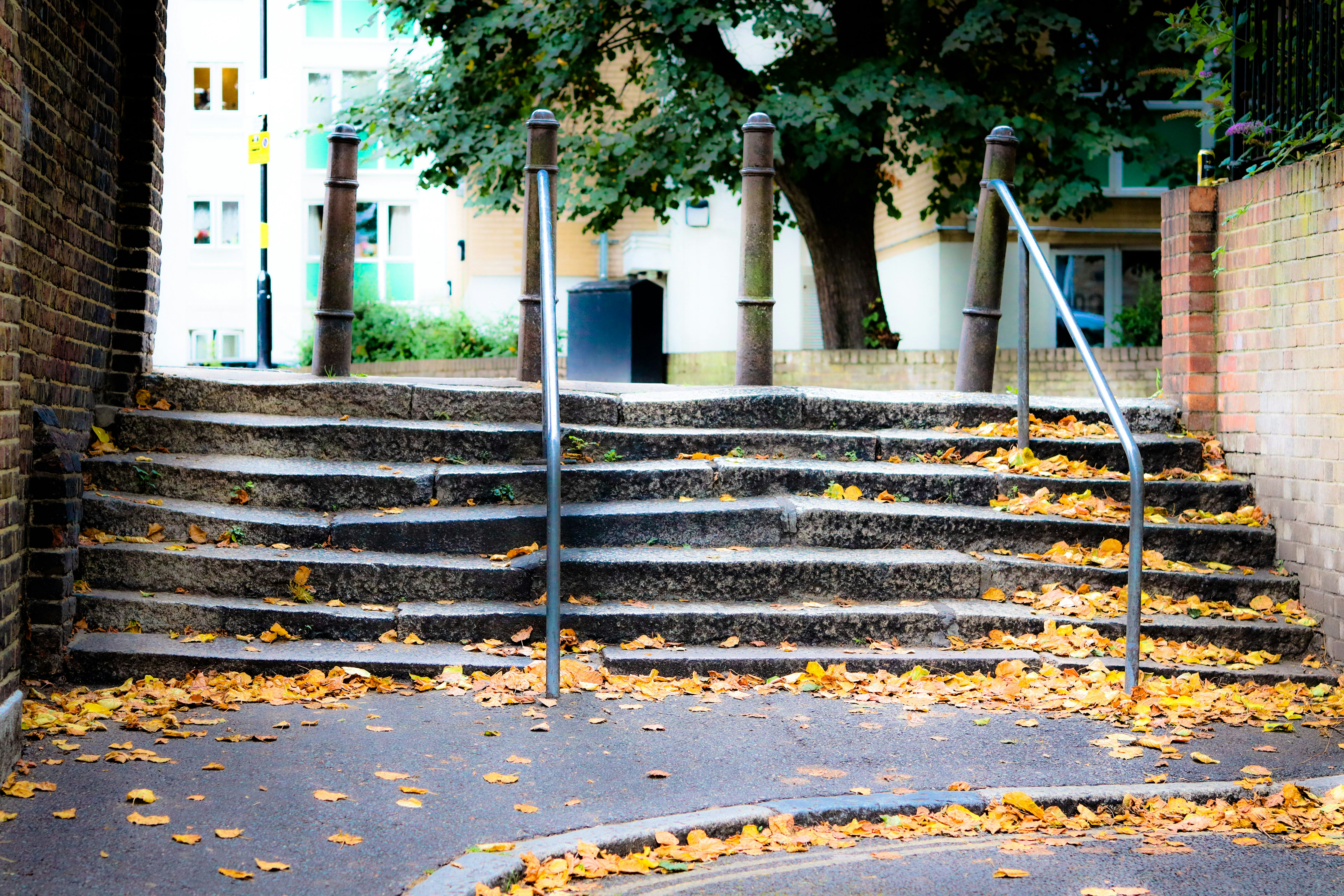 Autumn Leaves Adorning Urban Steps
