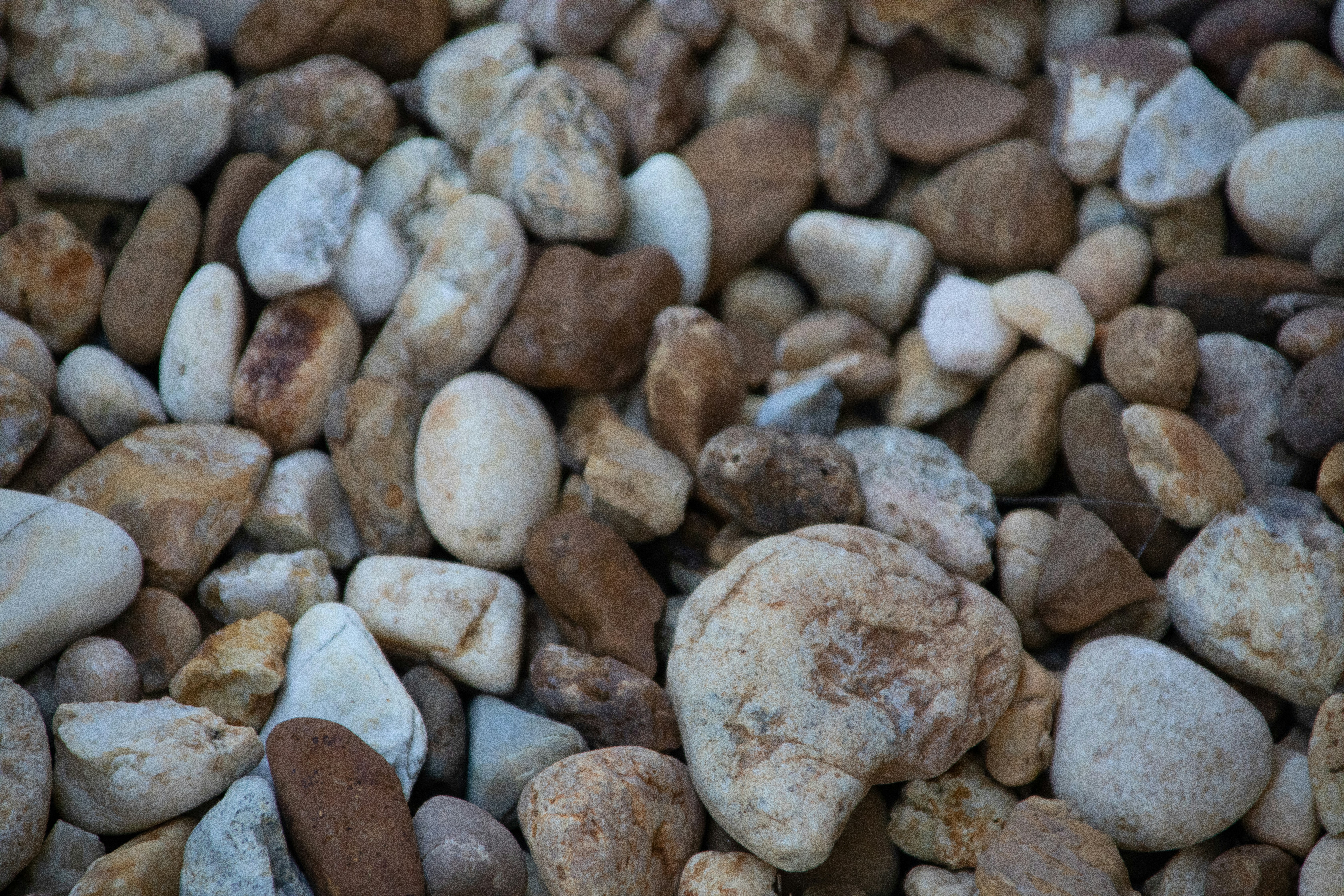 a close up of a bunch of rocks