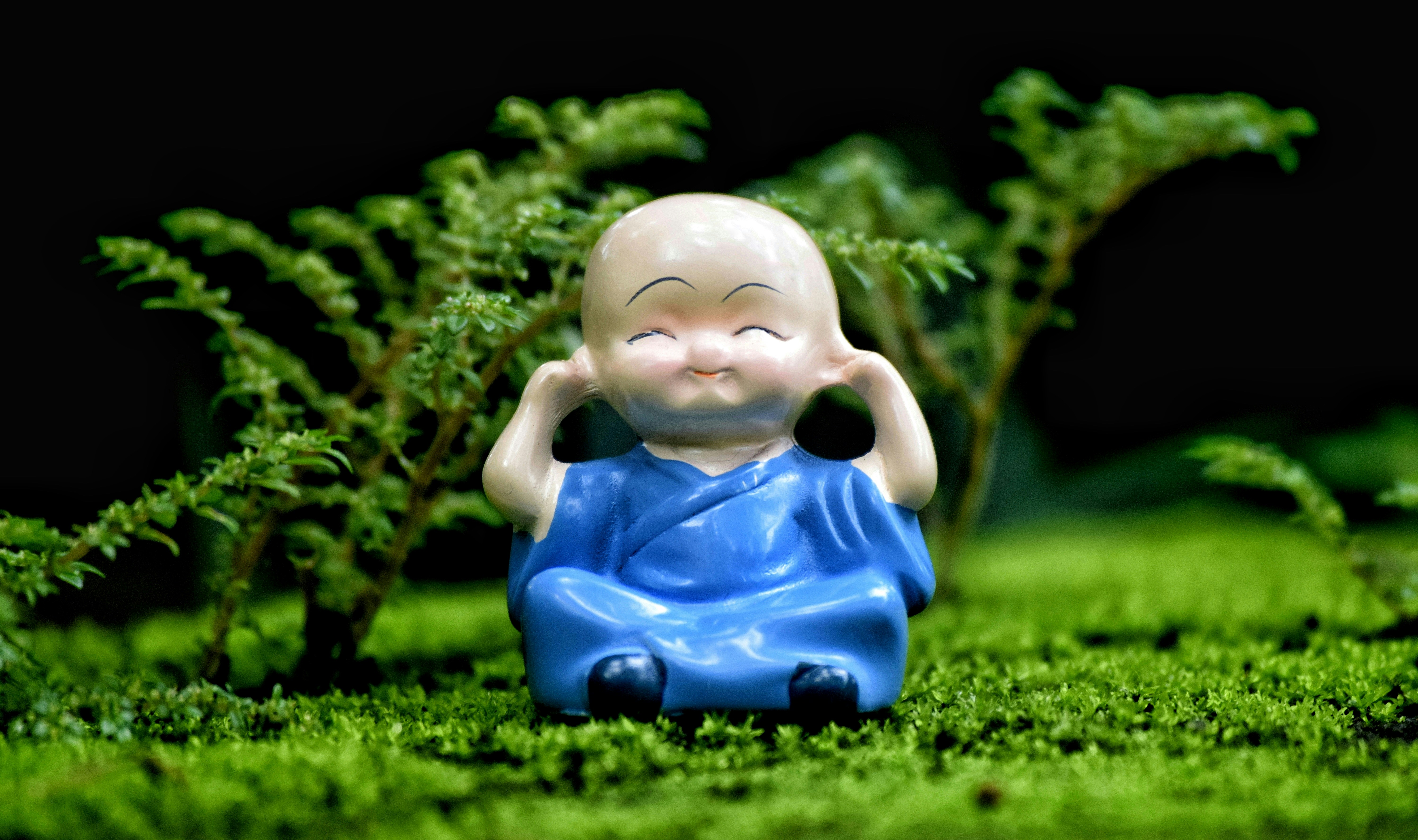 Serene Solitude Among the Moss