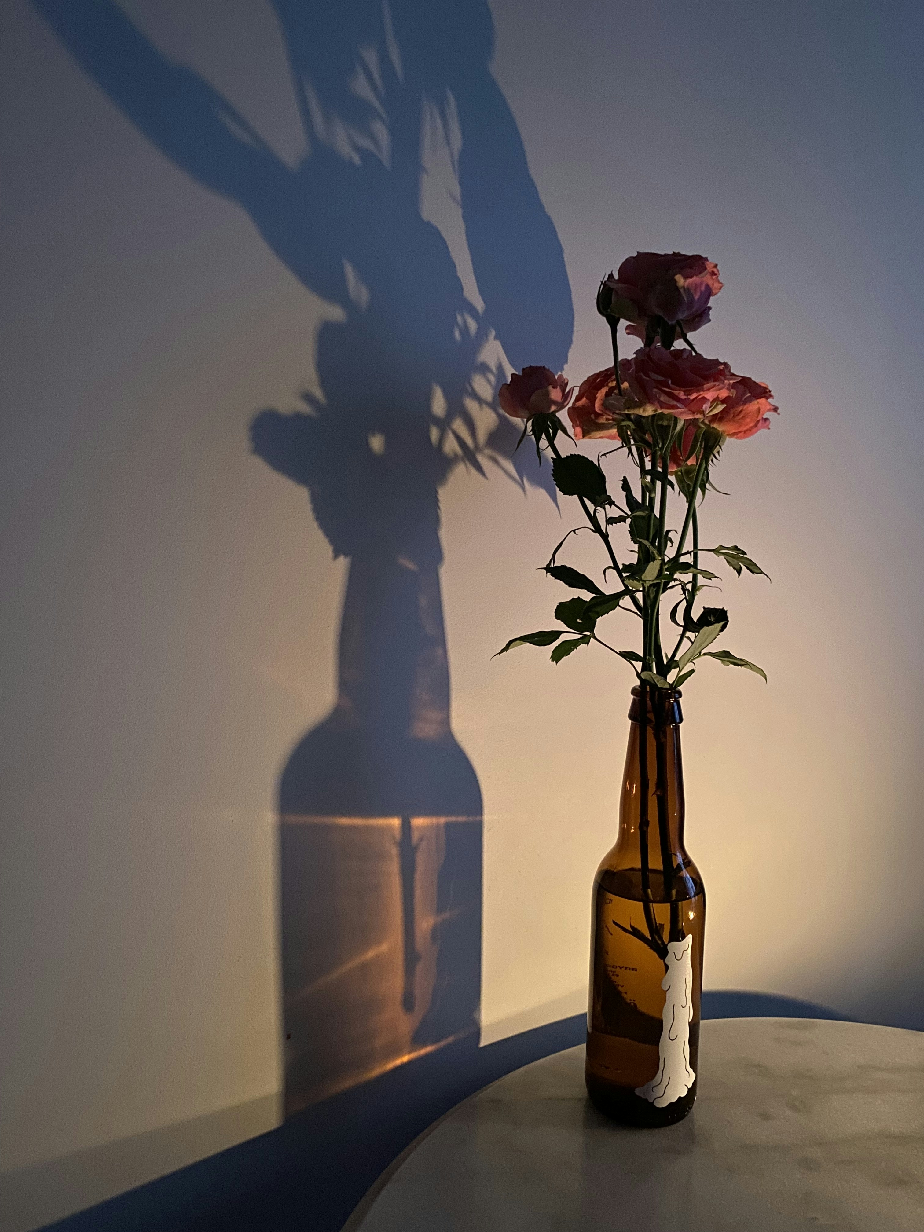 Amber-Glow Still Life: Roses in a Bottle and Its Shadow
