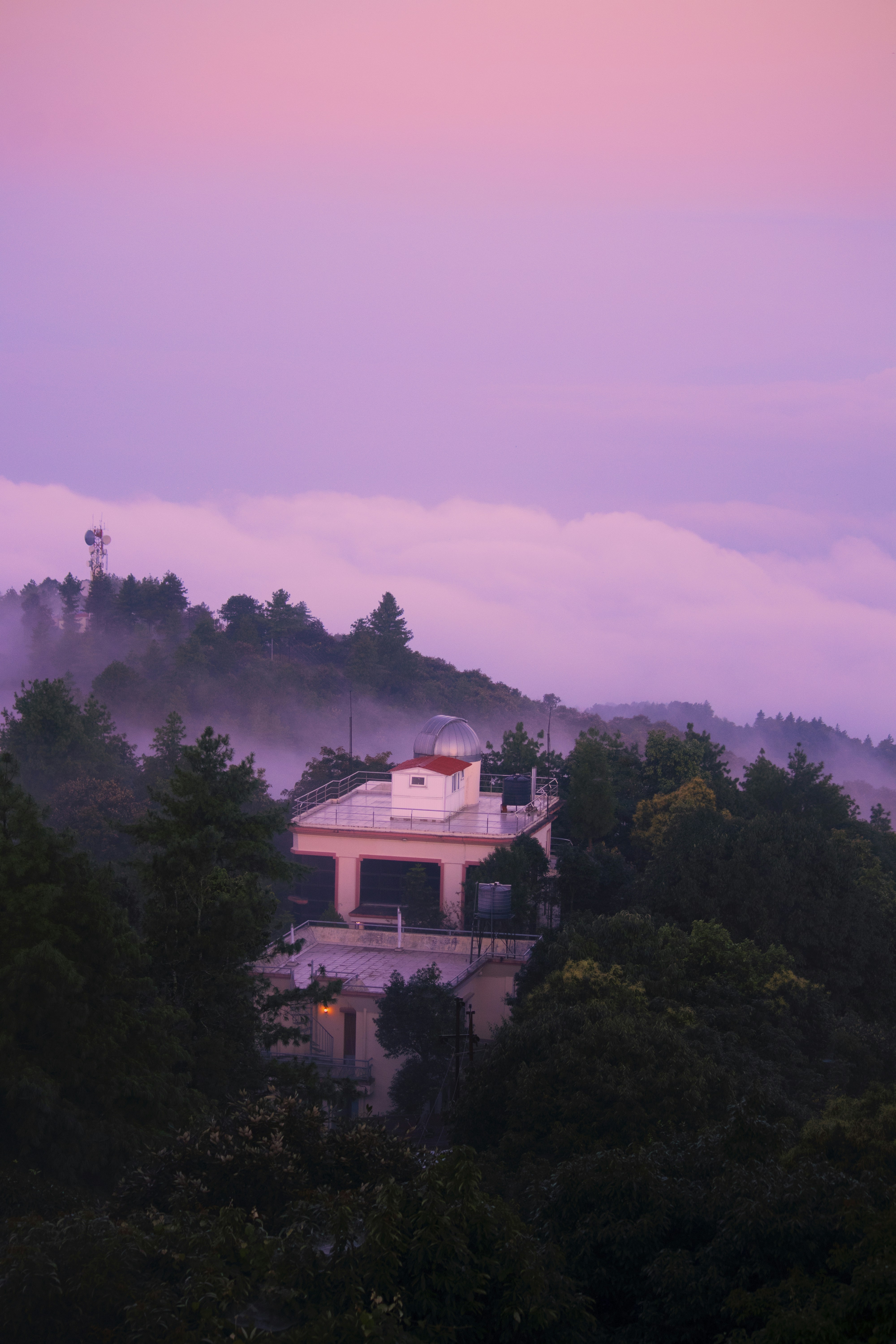 Dome on the Ridge: pink-dawn observatory veiled by fog among pines