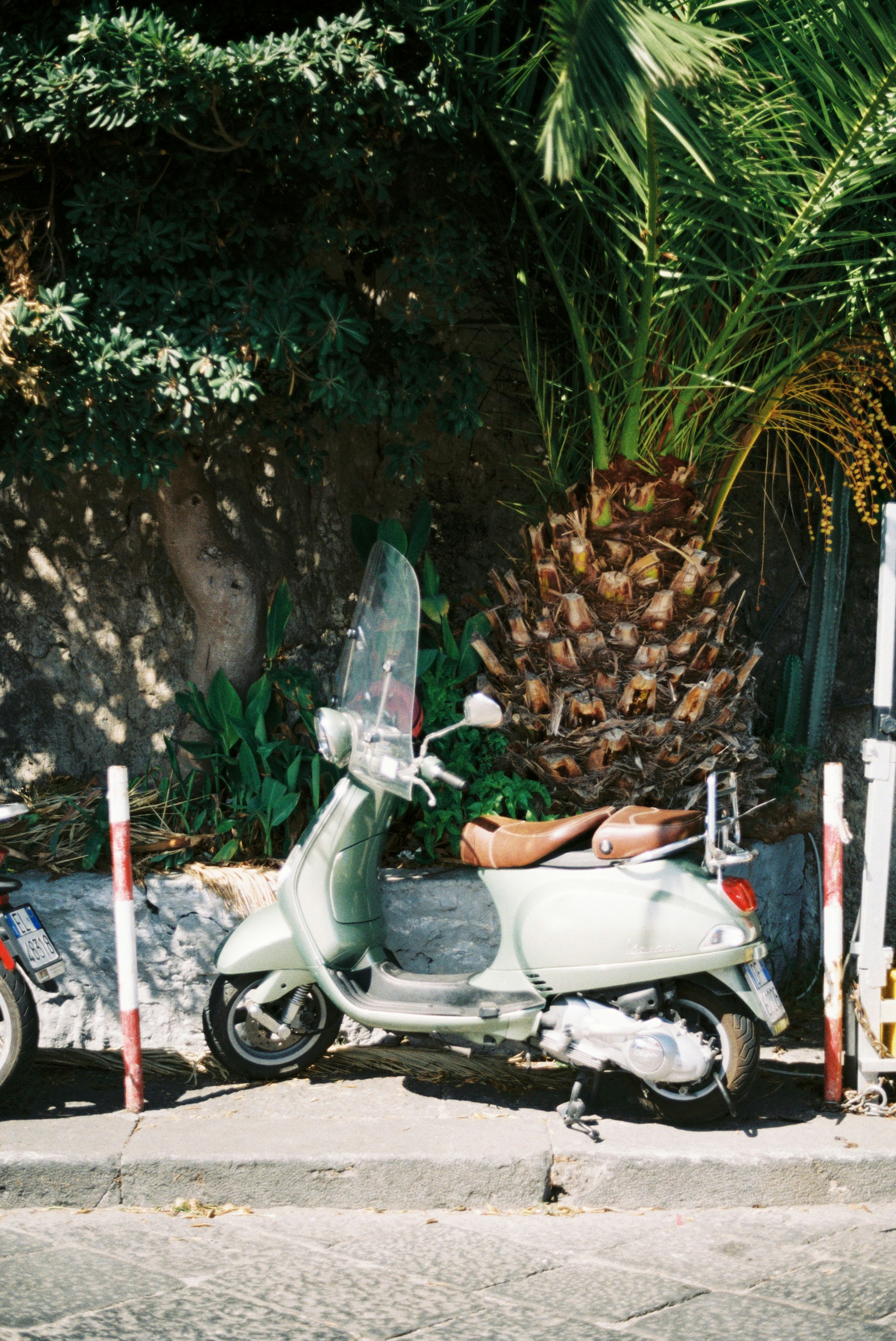 Mint-green Vespa by the Palm-Shaded Wall