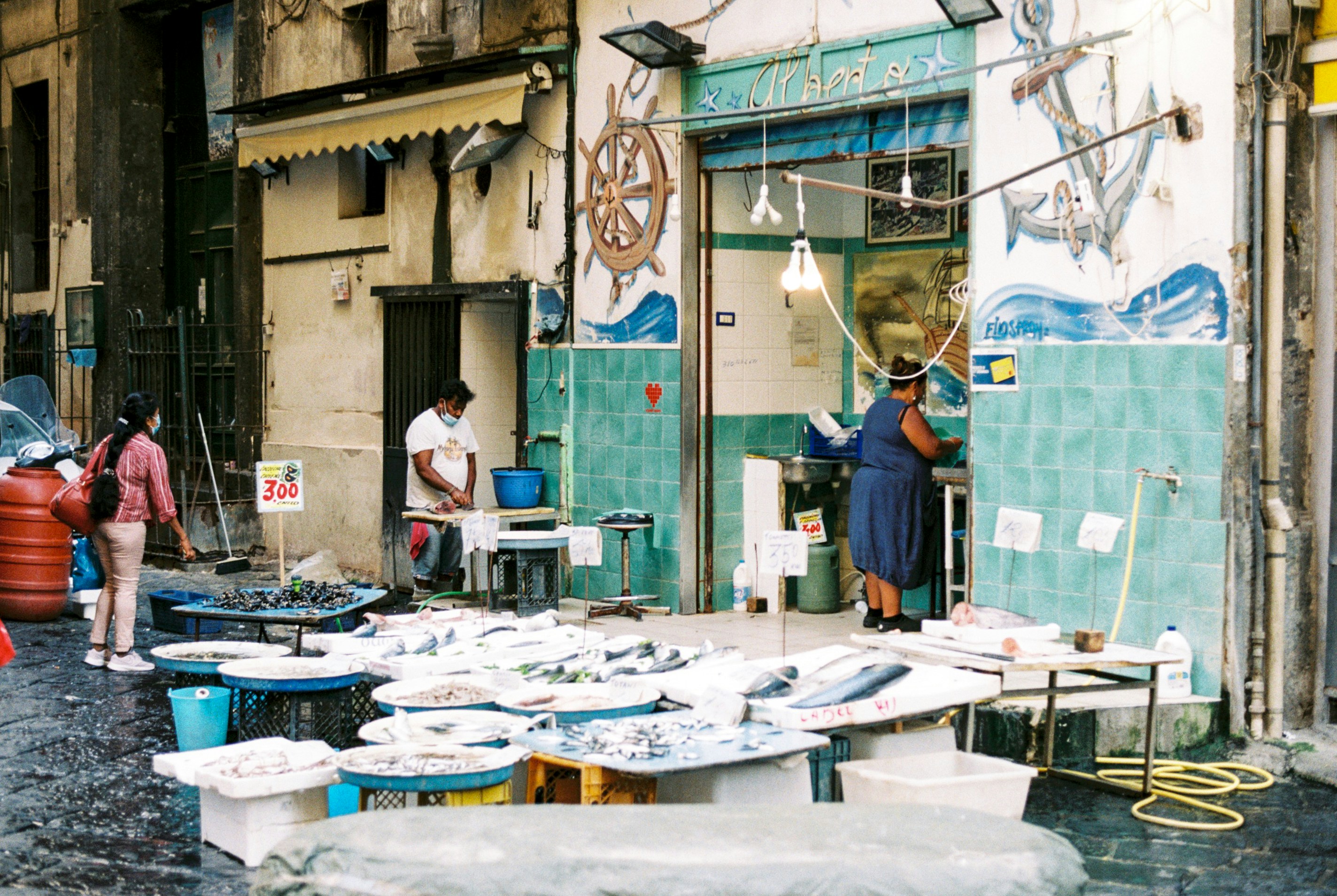 Fish Shop Pictures | Download Free Images on Unsplash