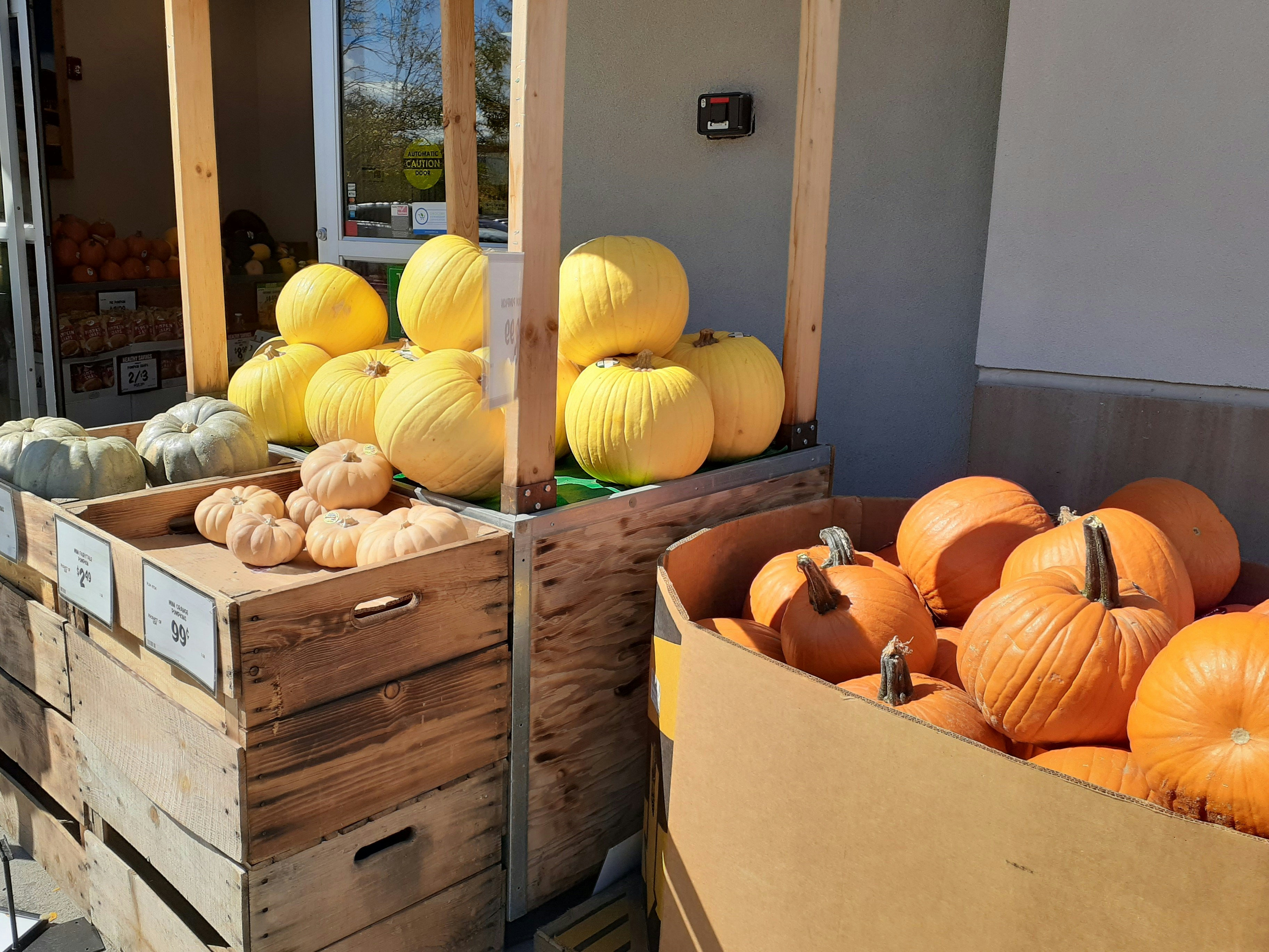 Golden Pumpkins Docked at the Market Stall
