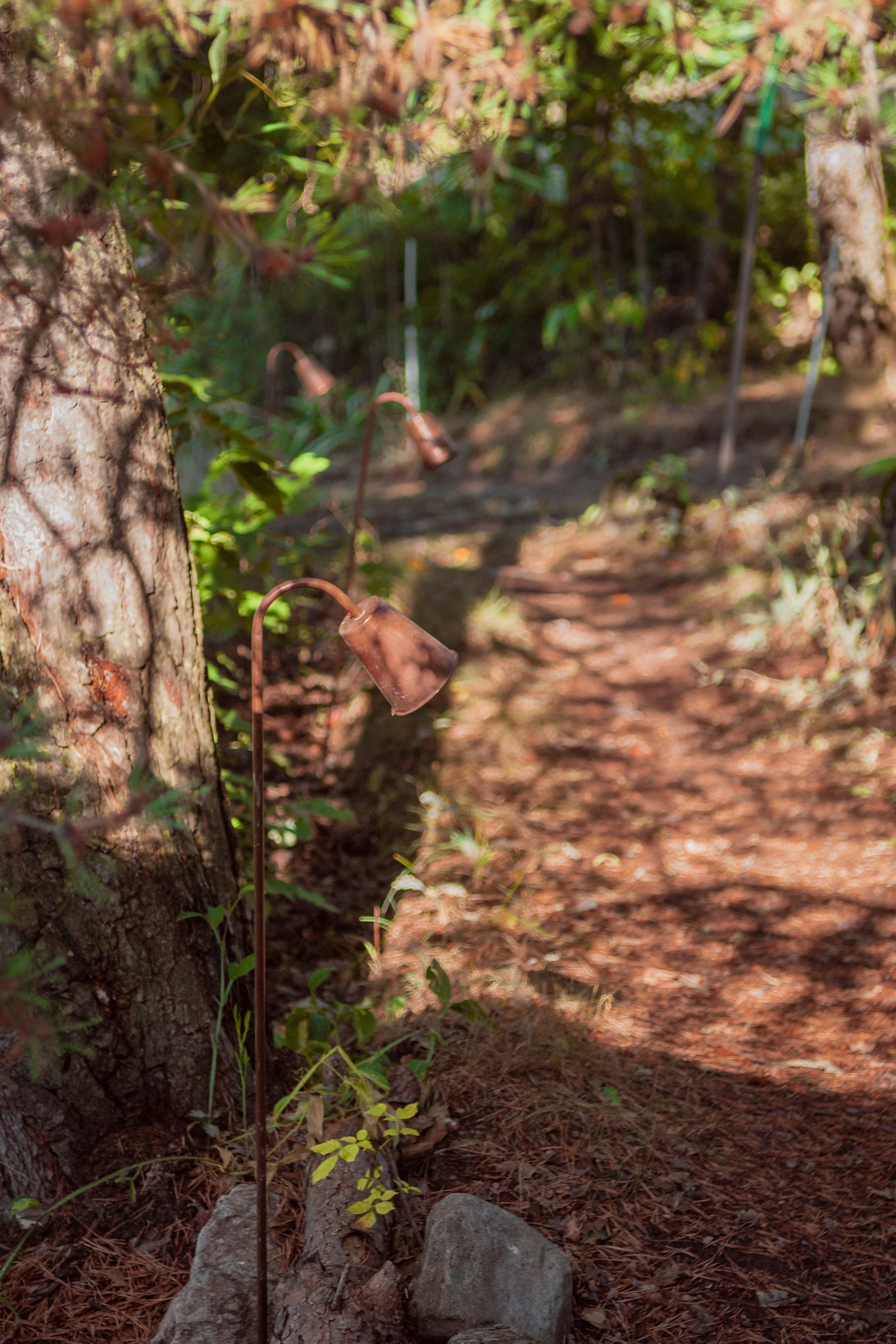 A winding forest path illuminated by whimsical lanterns, surrounded by lush greenery and dappled sunlight. The tranquility of nature is palpable.
