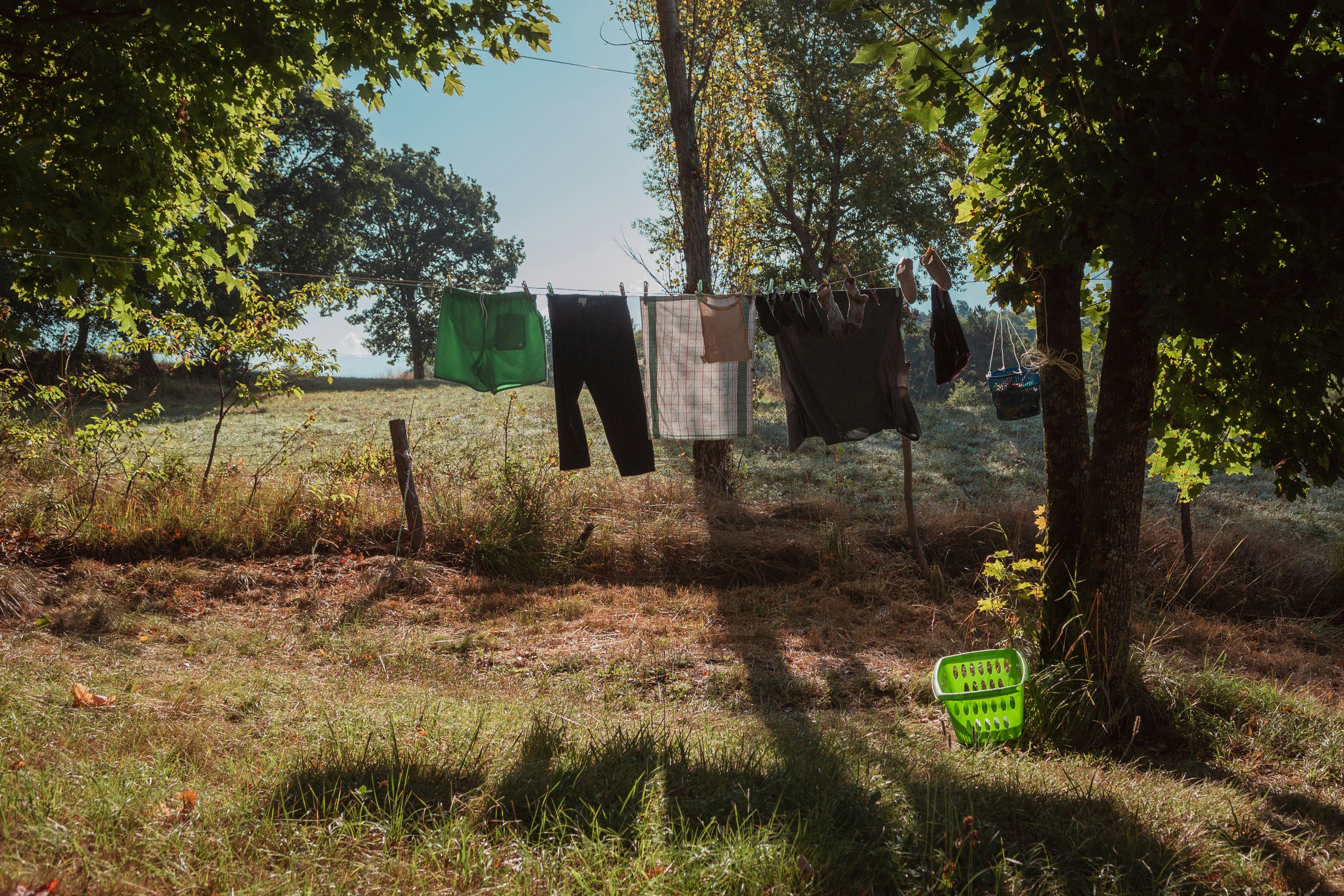 Colorful garments hanging on a clothesline in a sunlit countryside, surrounded by trees and grass. A green laundry basket rests nearby.