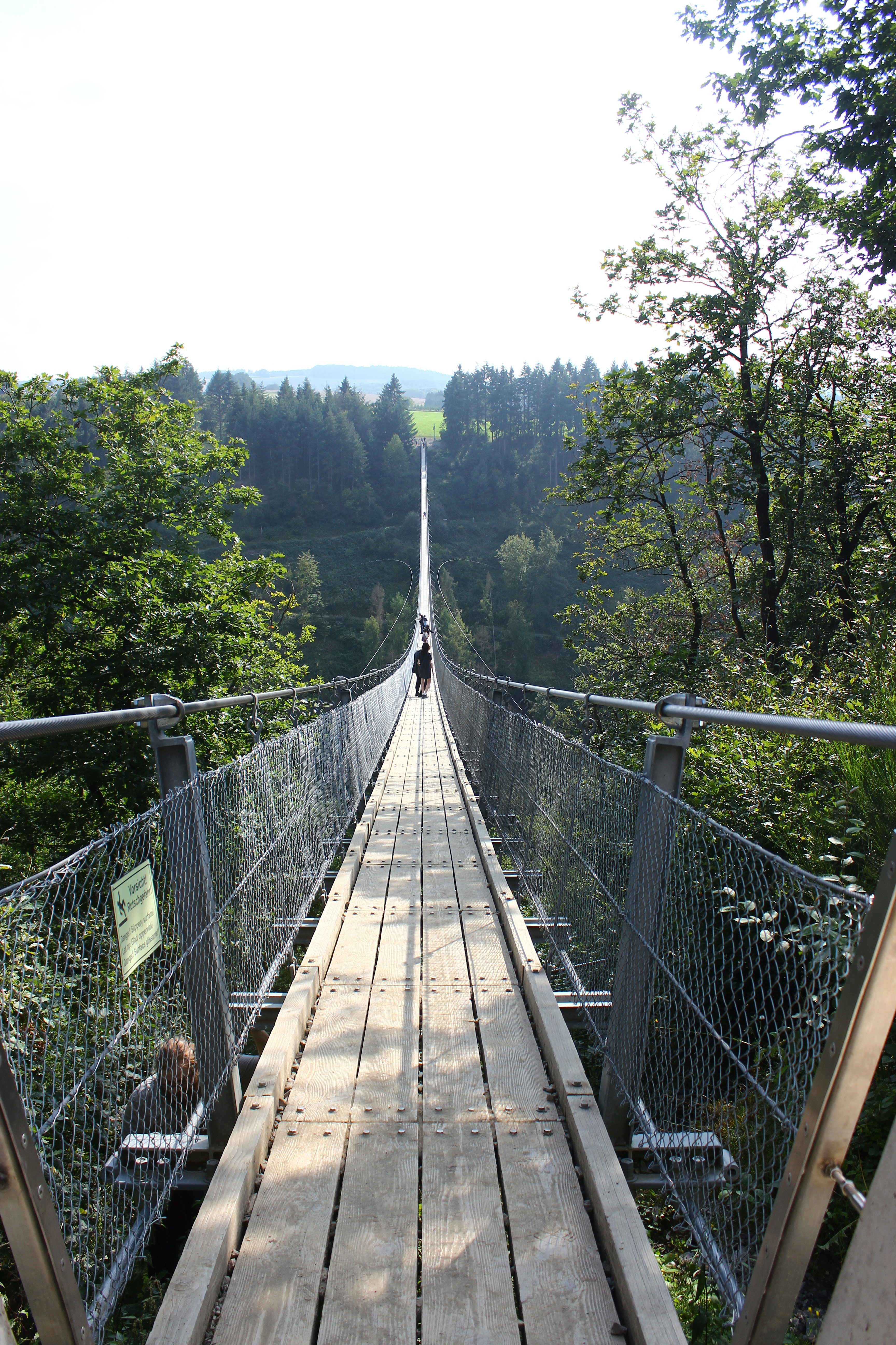 A long suspension bridge stretches over a lush valley, inviting exploration amidst towering trees and distant hills.