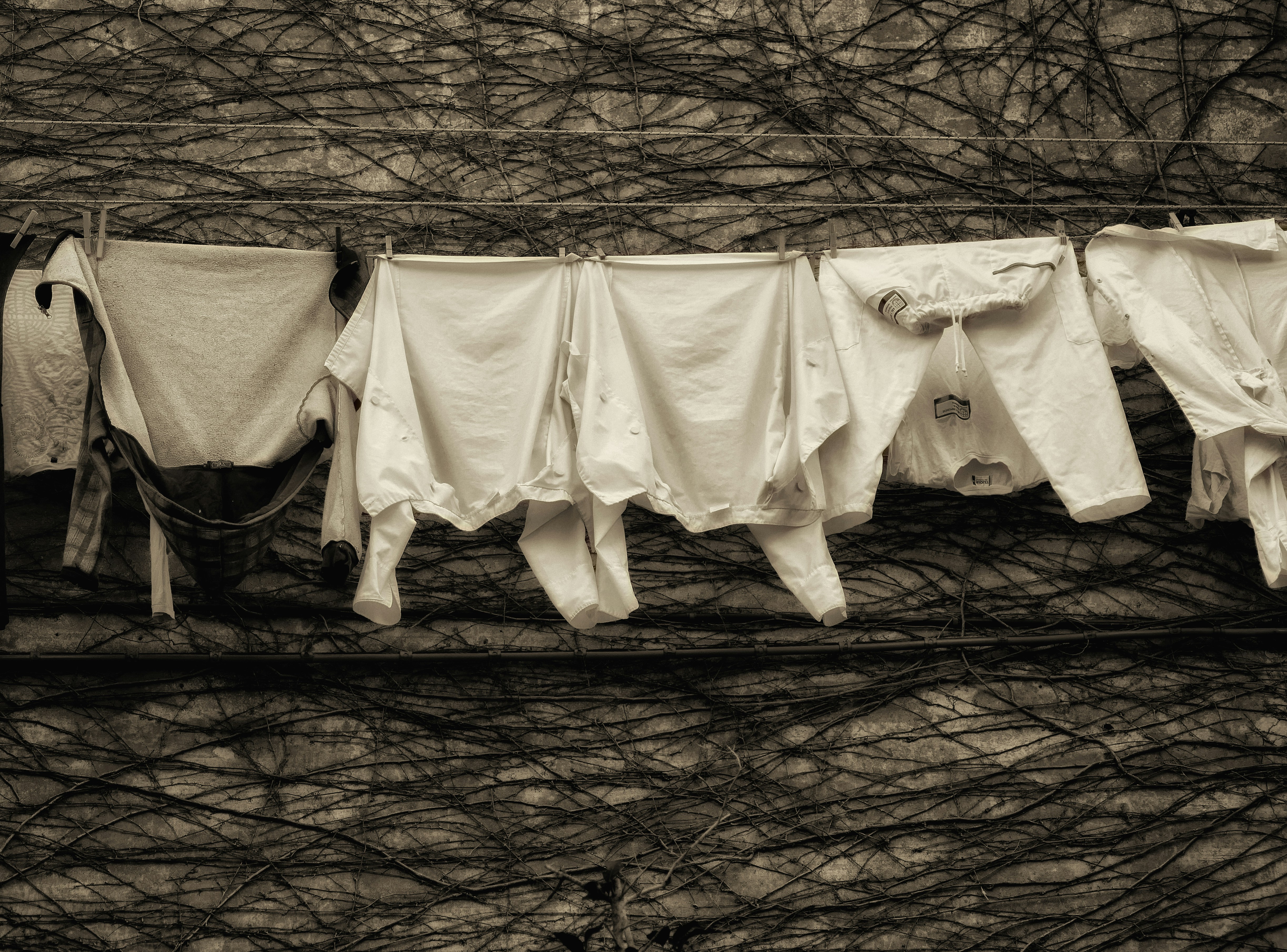 A line of clothes hanging on a clothes line photo – Free Grey Image on ...