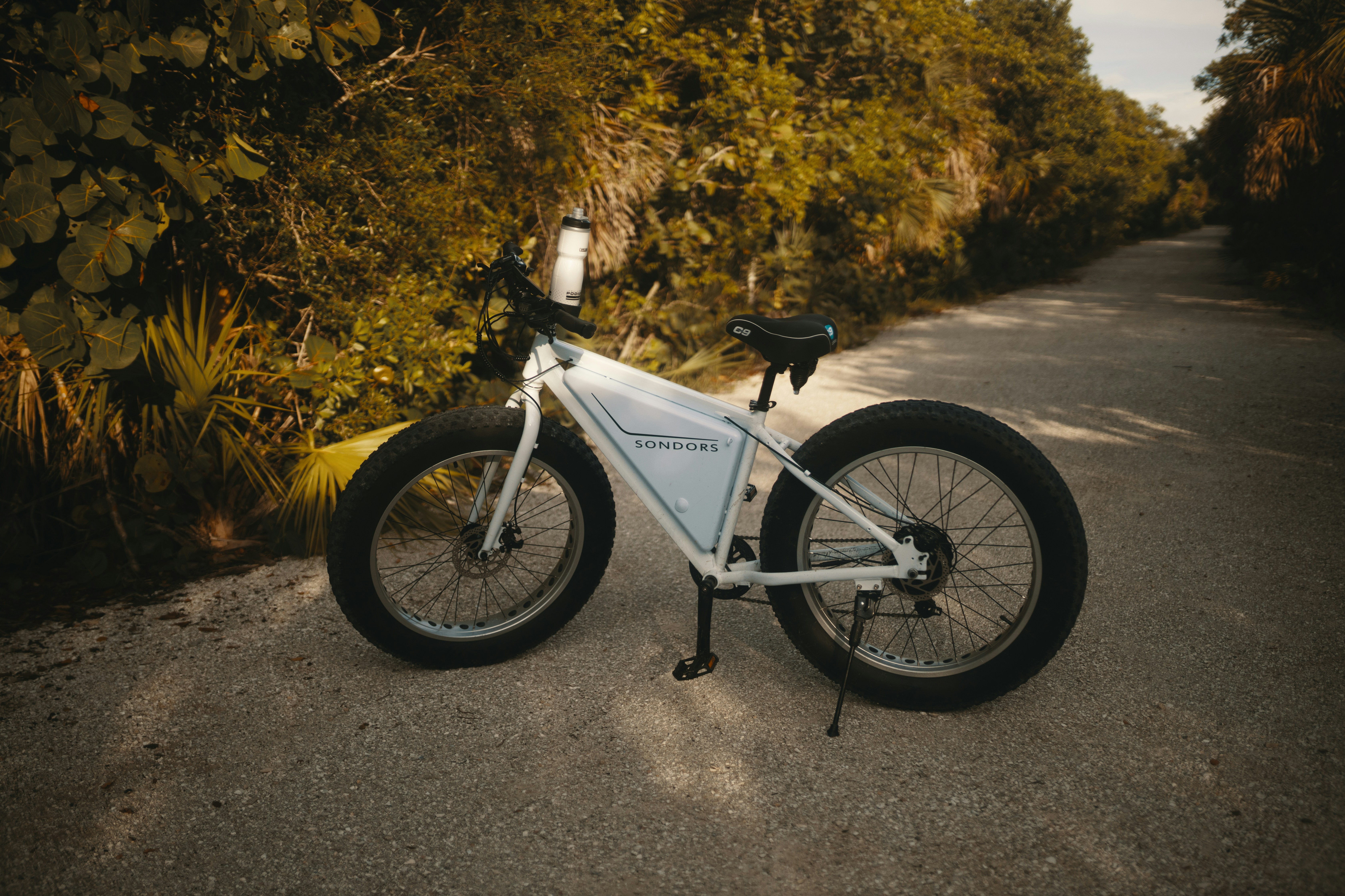 Solstice Glide: A White e-Bike on a Quiet, Leaf-Dappled Road