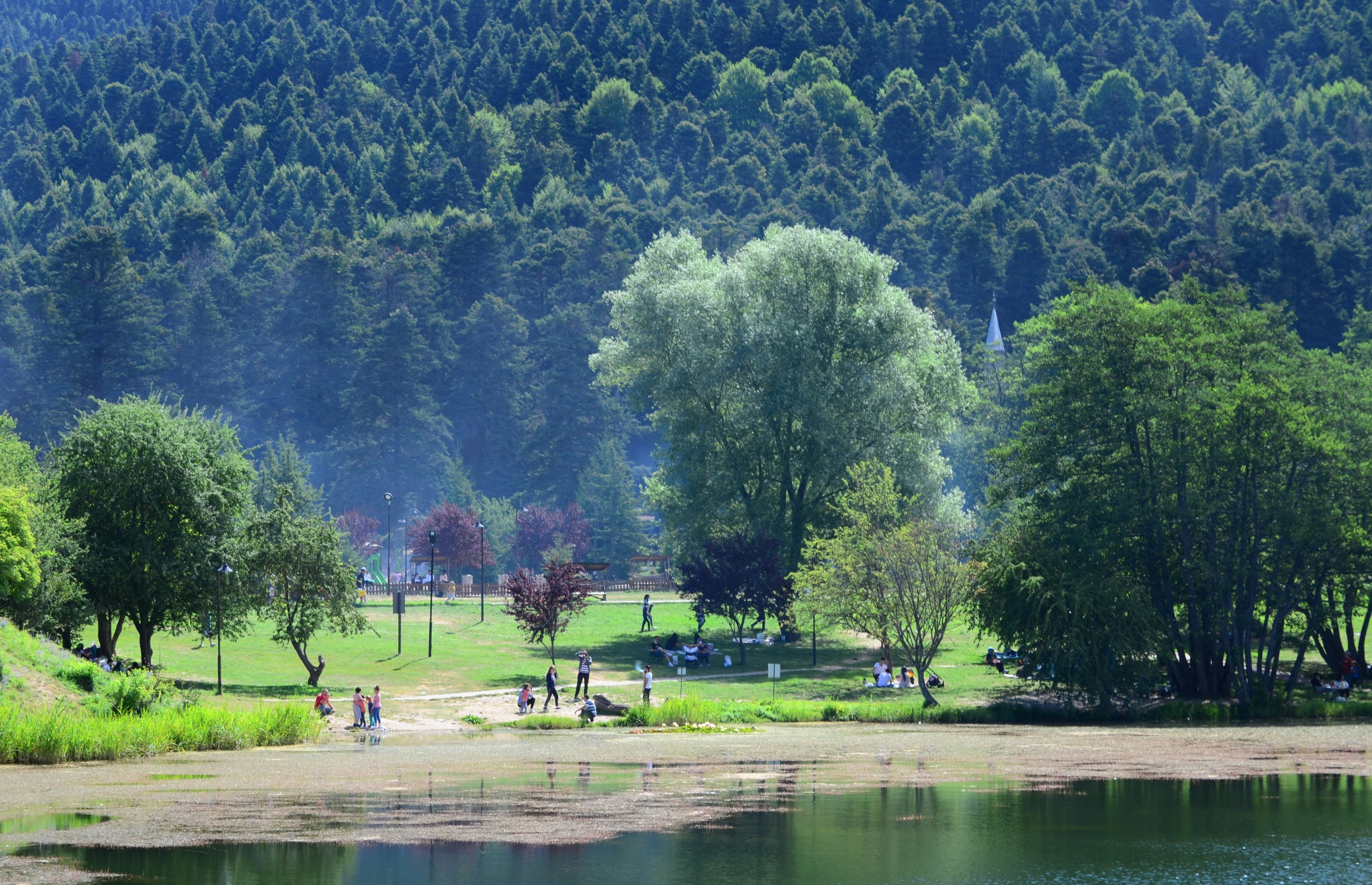 Un grupo de personas caminando alrededor de un parque junto a un lago ...