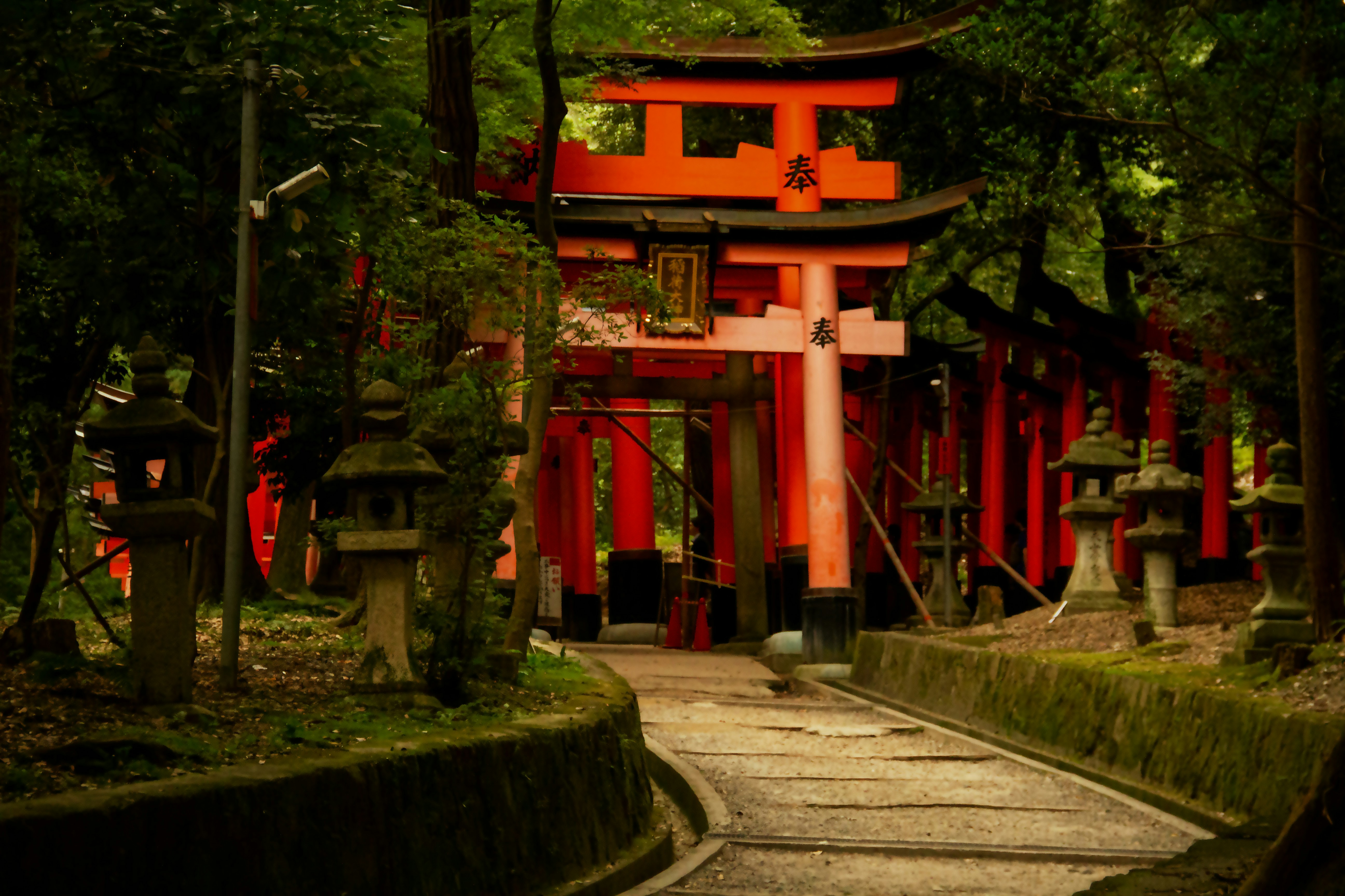 A path leading to a red building in a forest photo – Free Japan Image ...