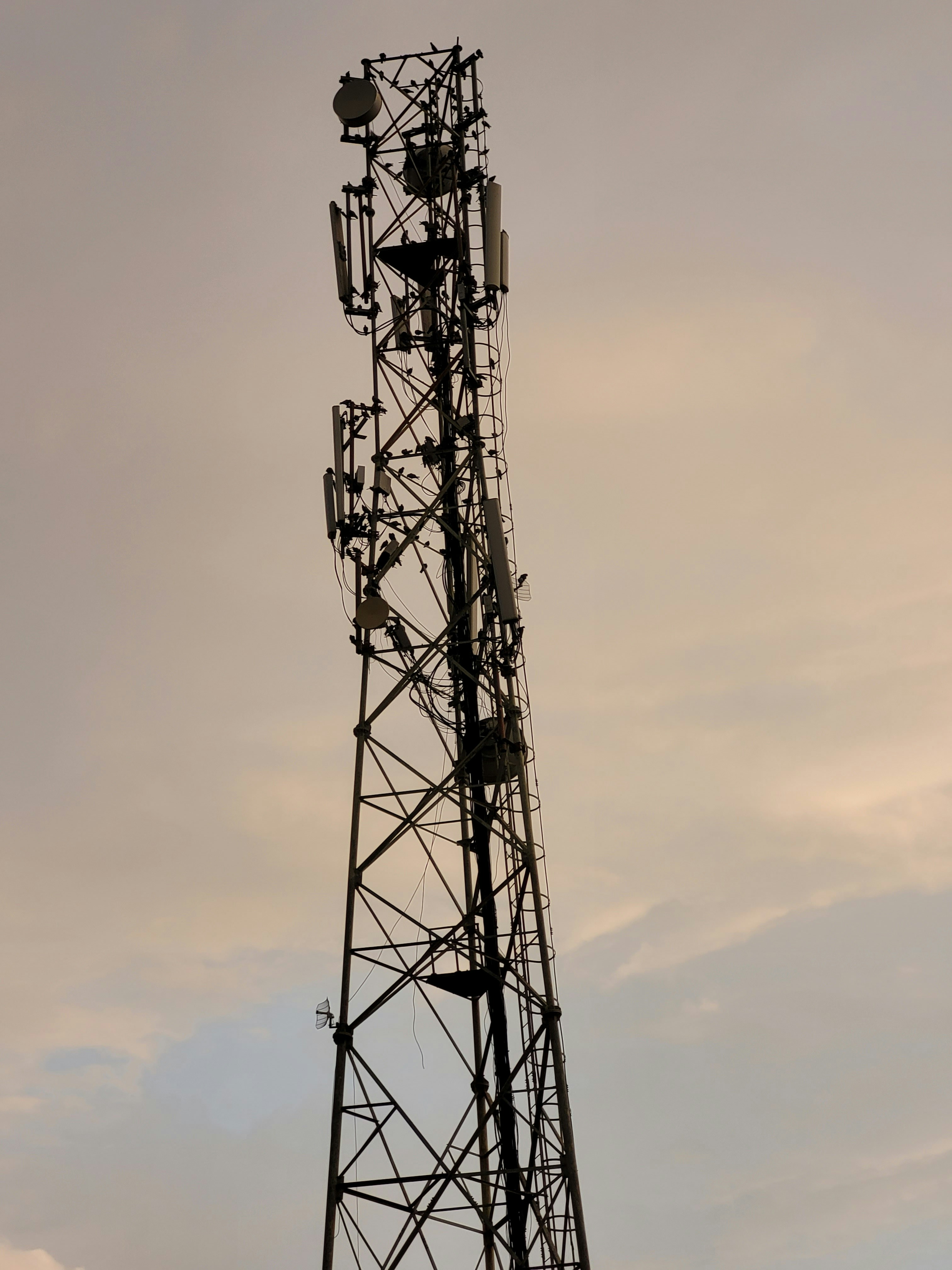 A tall tower with a bunch of cell phones on top of it photo – Free ...