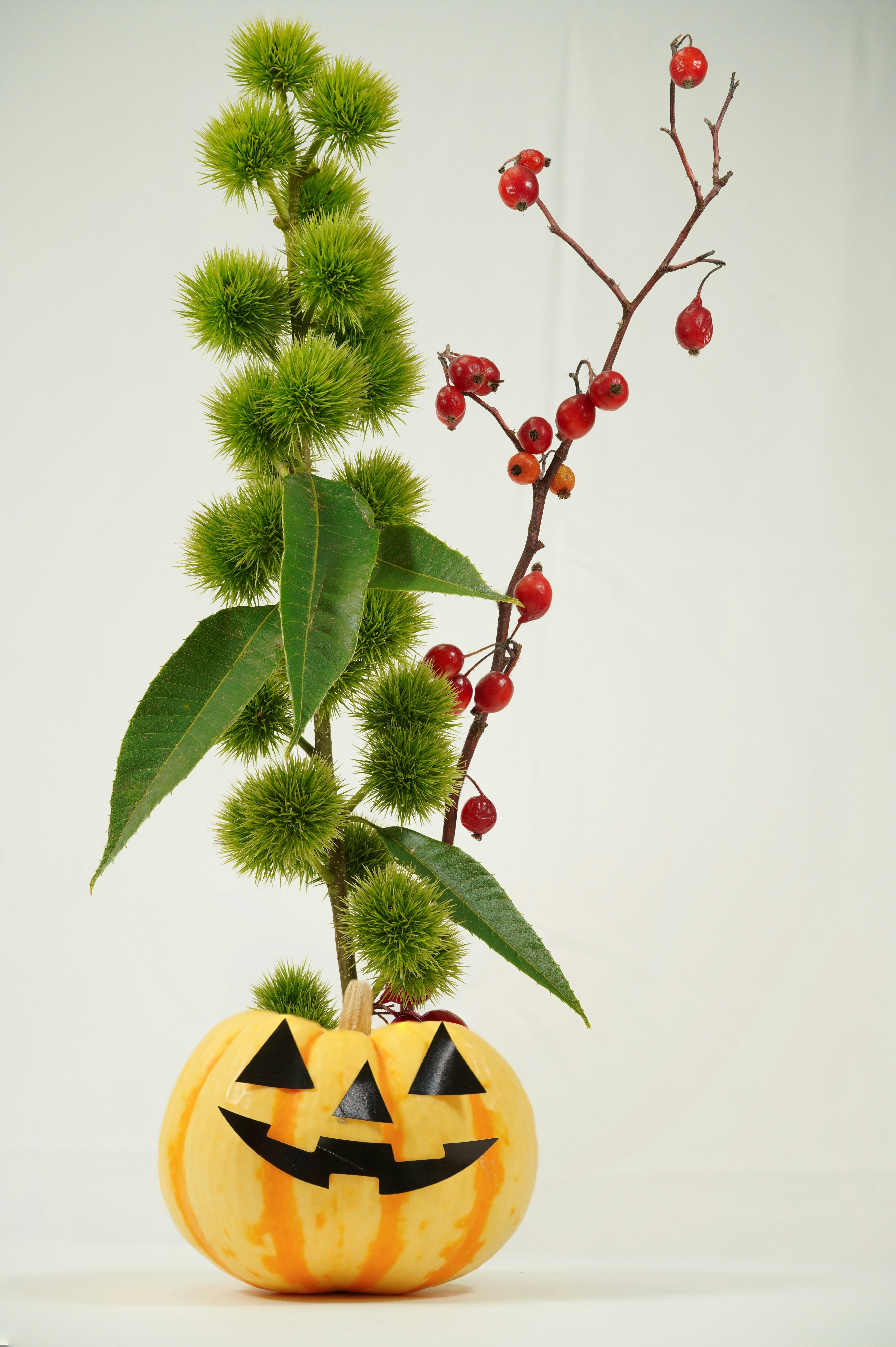 A creatively arranged Halloween-themed pumpkin with a carved face, adorned with vibrant green foliage and red berries, set against a neutral background.