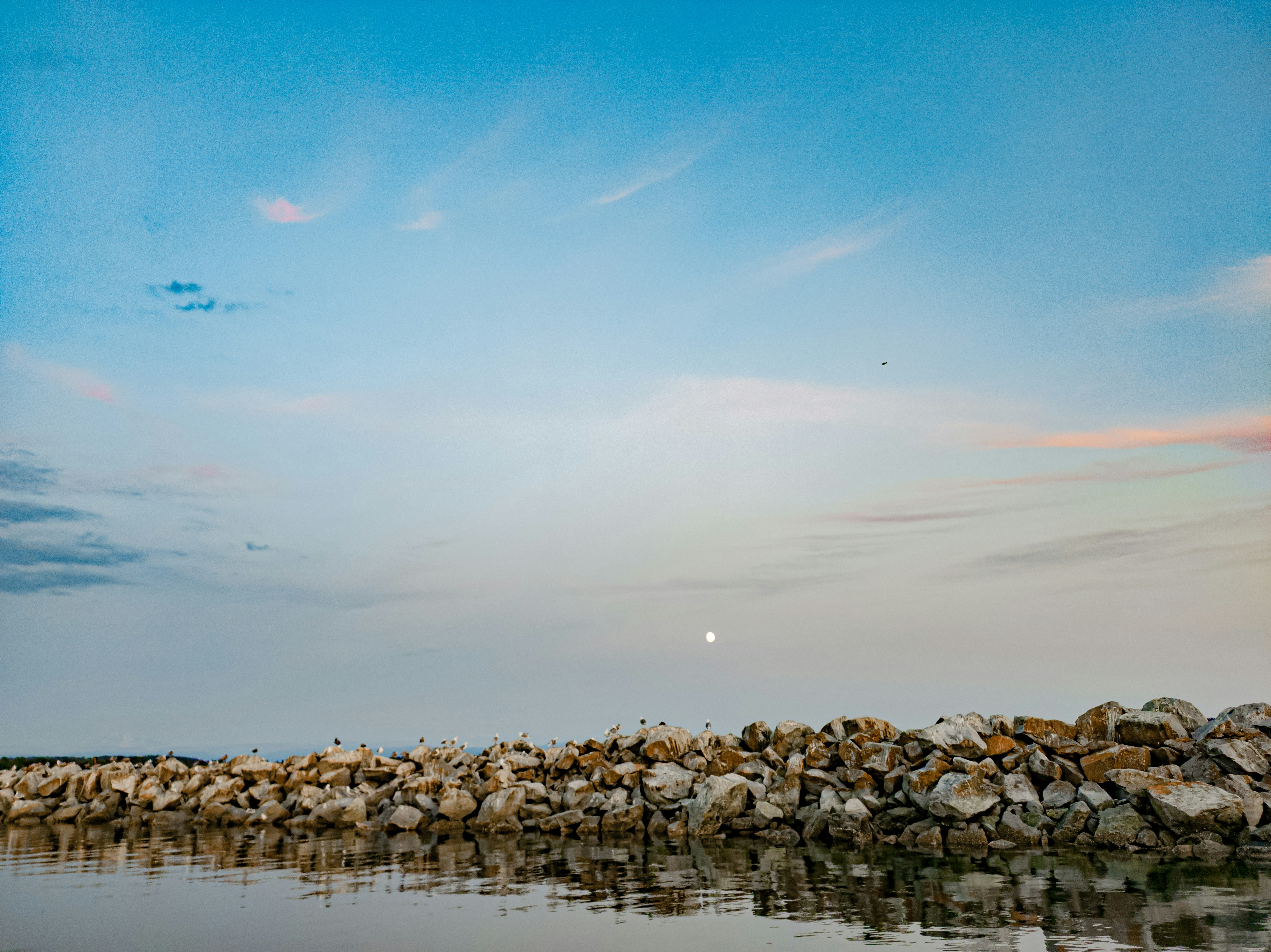 Rocky shoreline reflecting the twilight sky with a rising moon. Calm waters enhance the tranquil atmosphere.