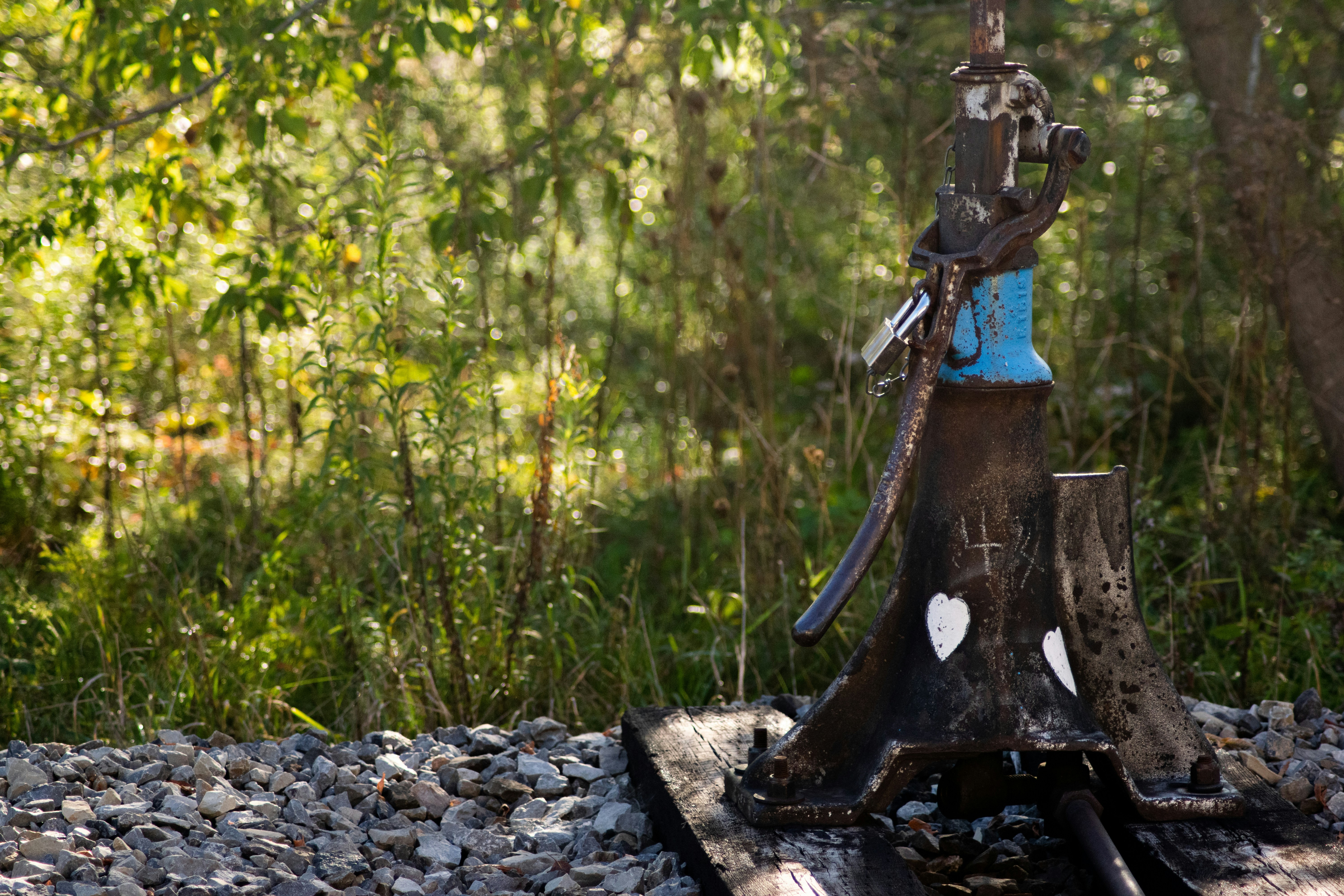 Anchor of an Abandoned Railscape: A Rusted Water Pump in a Sunlit Clearing
