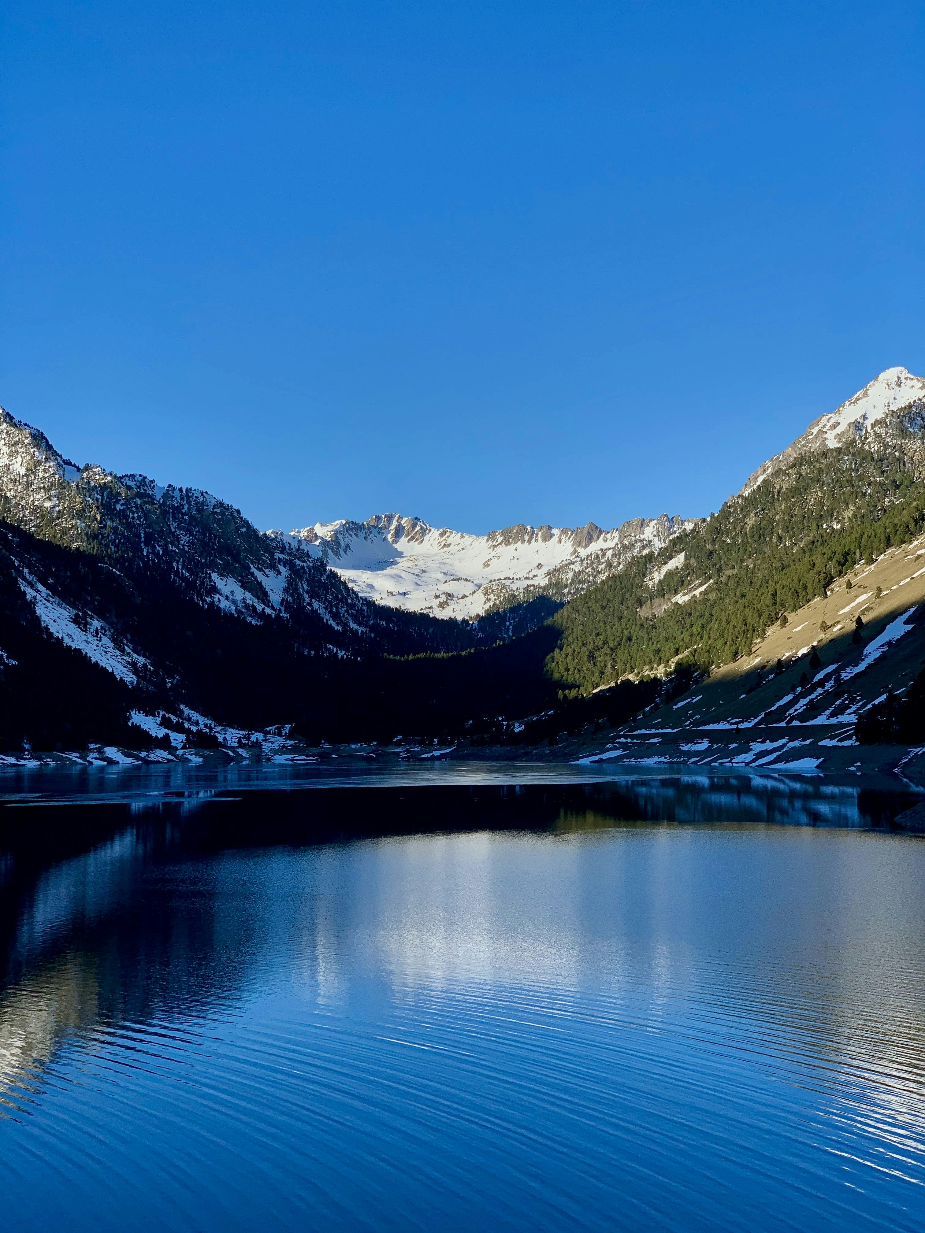 Lisa (@lisadelarte) | Comunidad de fotos de Unsplash