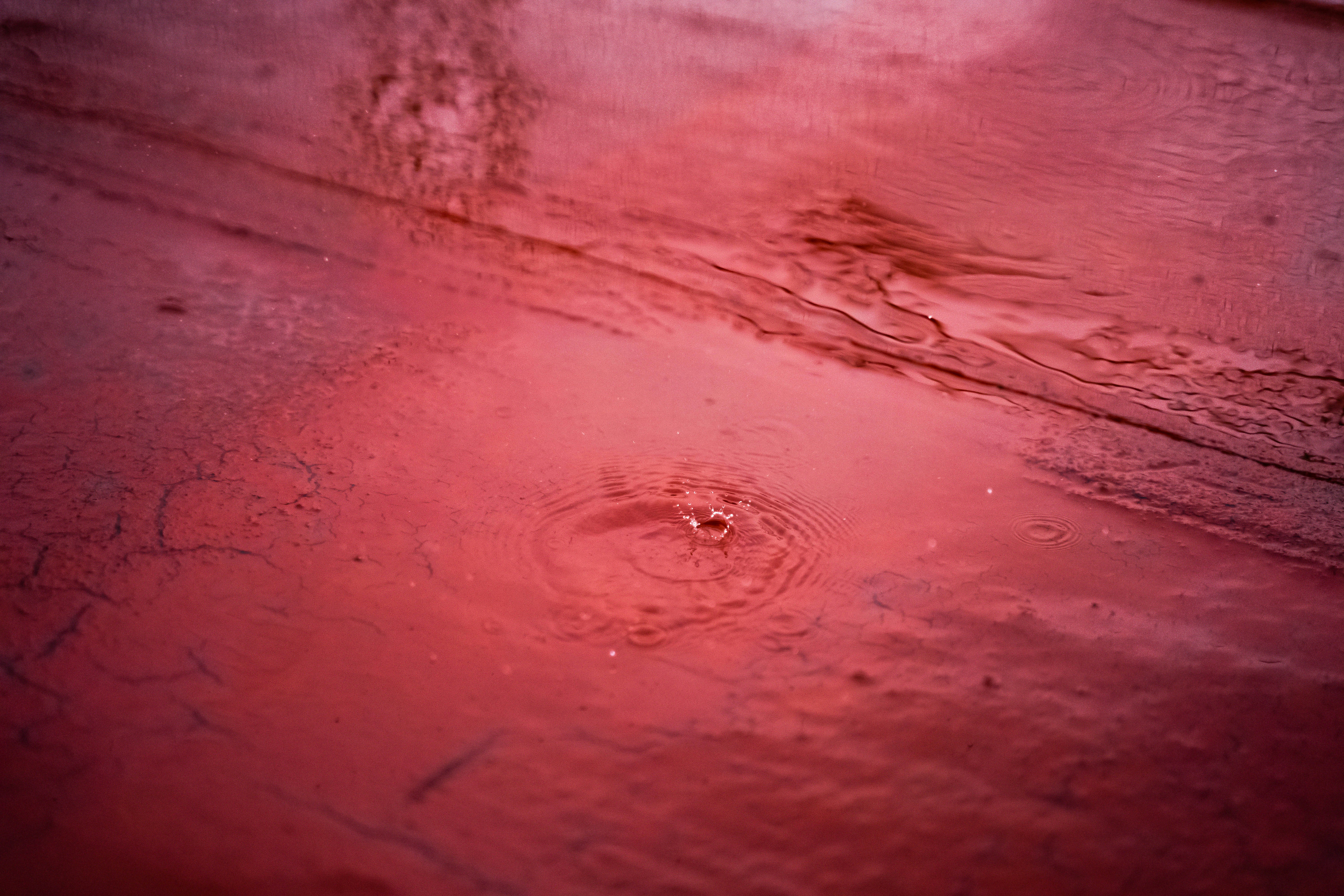 A puddle of water on a wet surface photo – Free Red Image on Unsplash