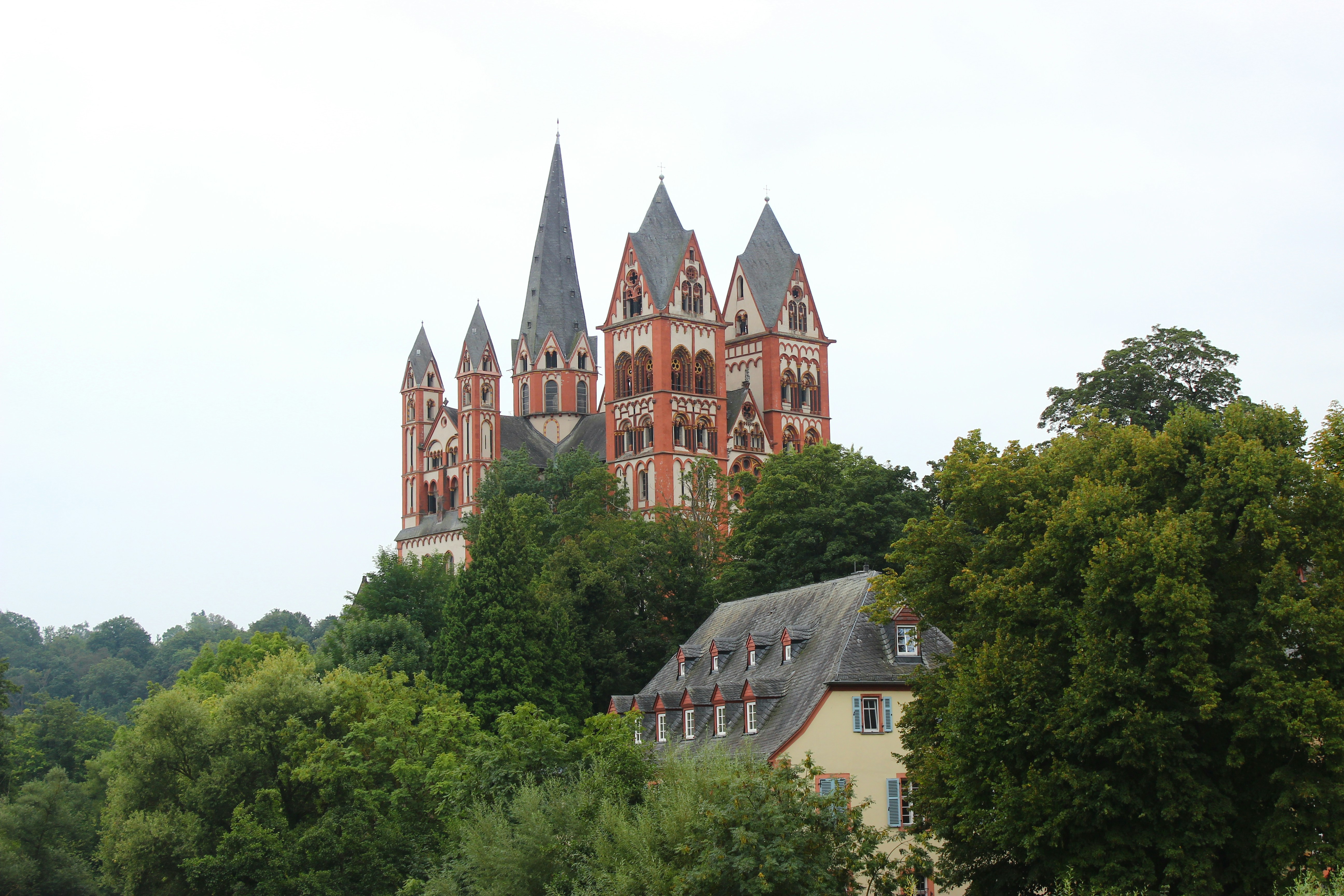 Gothic Majesty Amidst Verdant Canopy