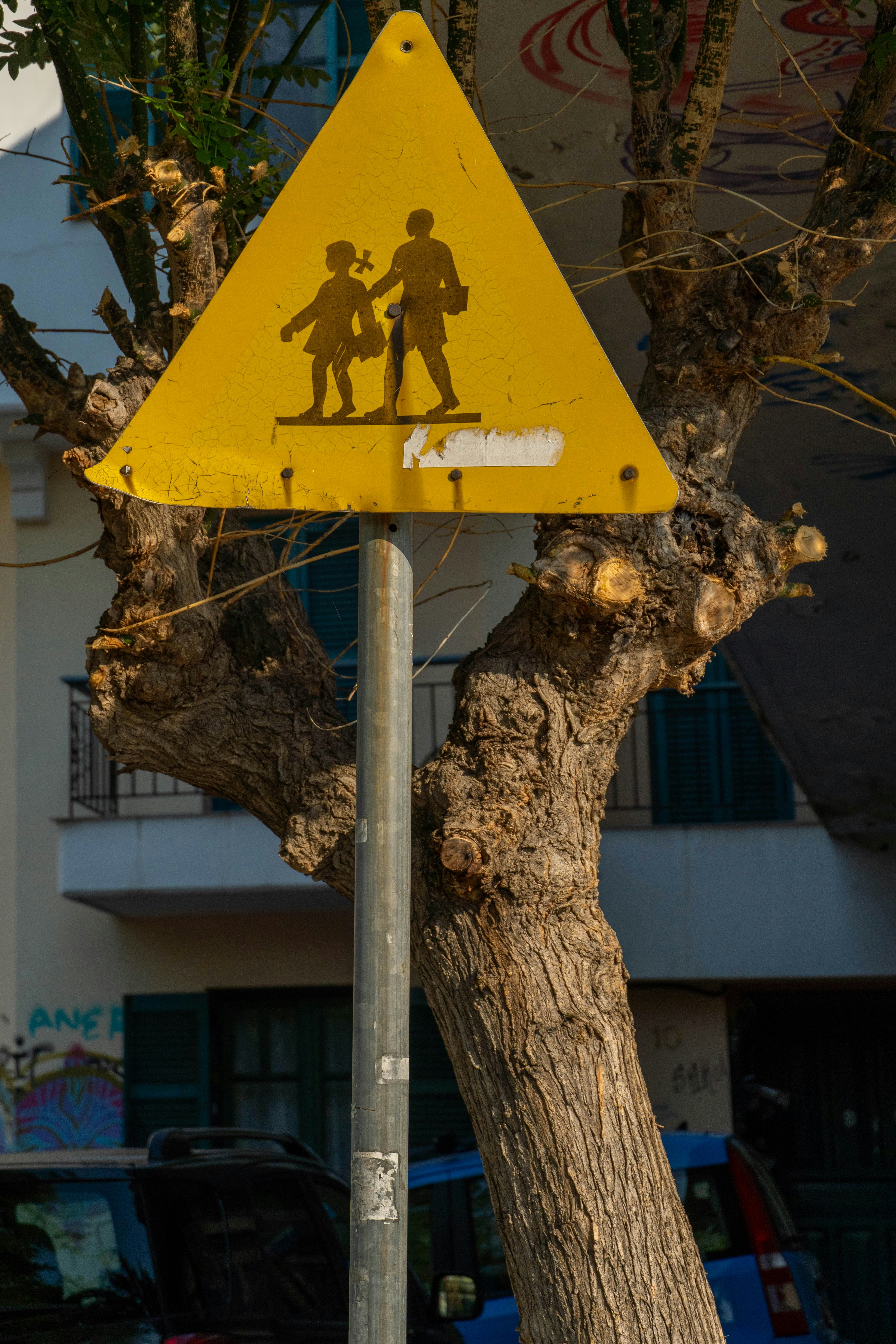 Yellow pedestrian warning sign featuring silhouettes of a child and an adult, framed by a tree in an urban setting.