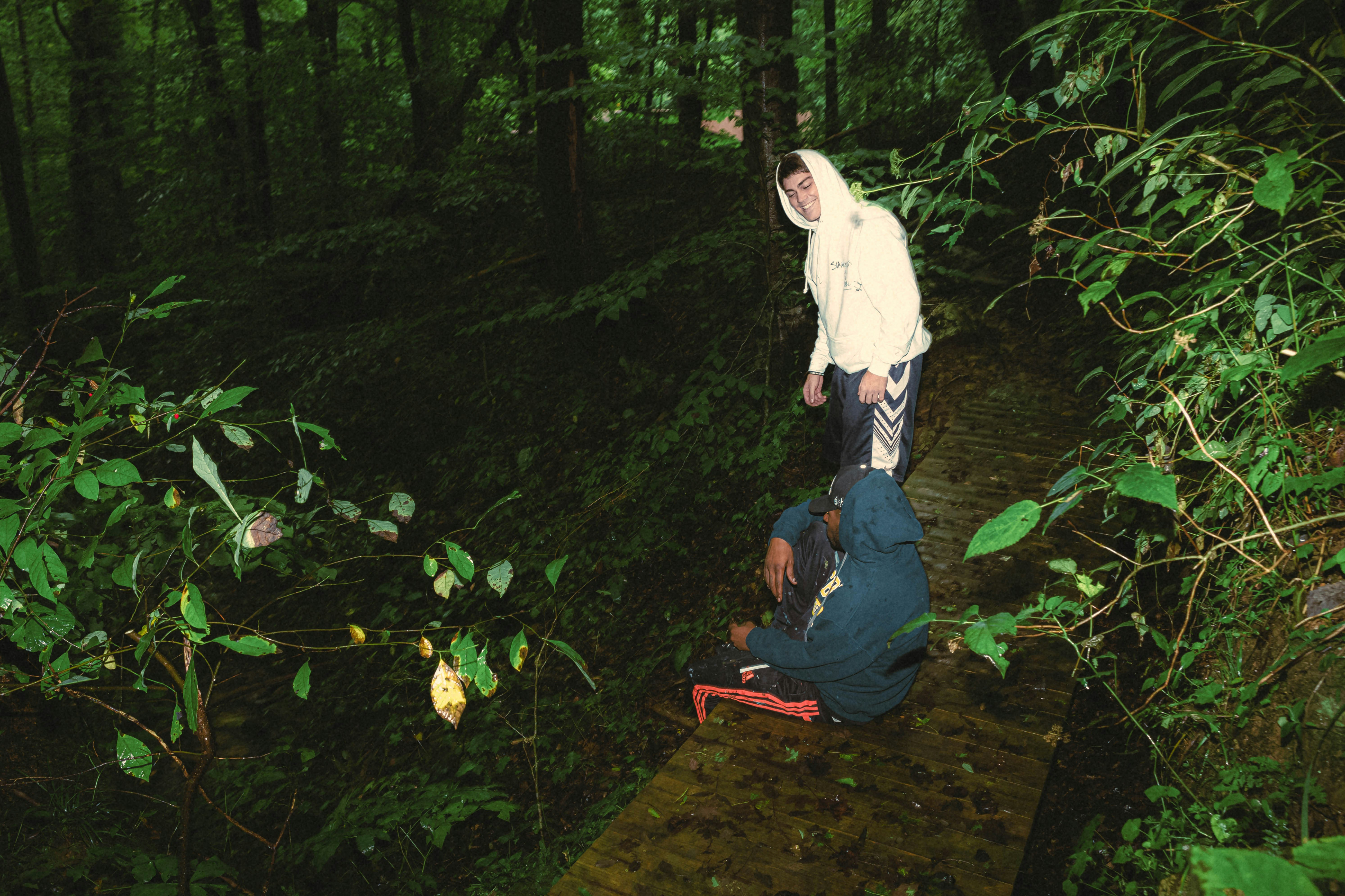 Night on the Mossy Plank: Two Figures on a Narrow Forest Bridge