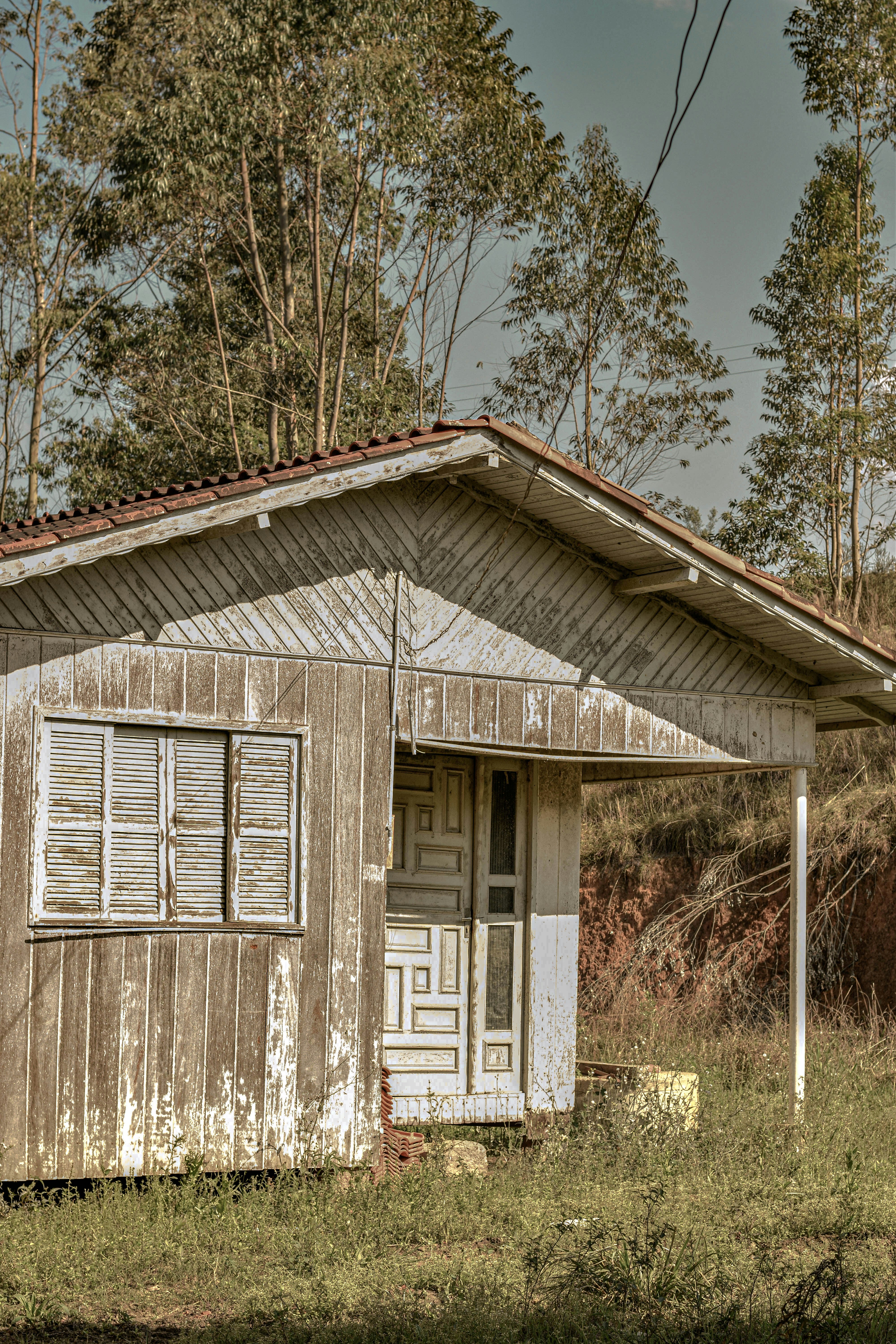 An old run down building with a door and window photo – Free House ...