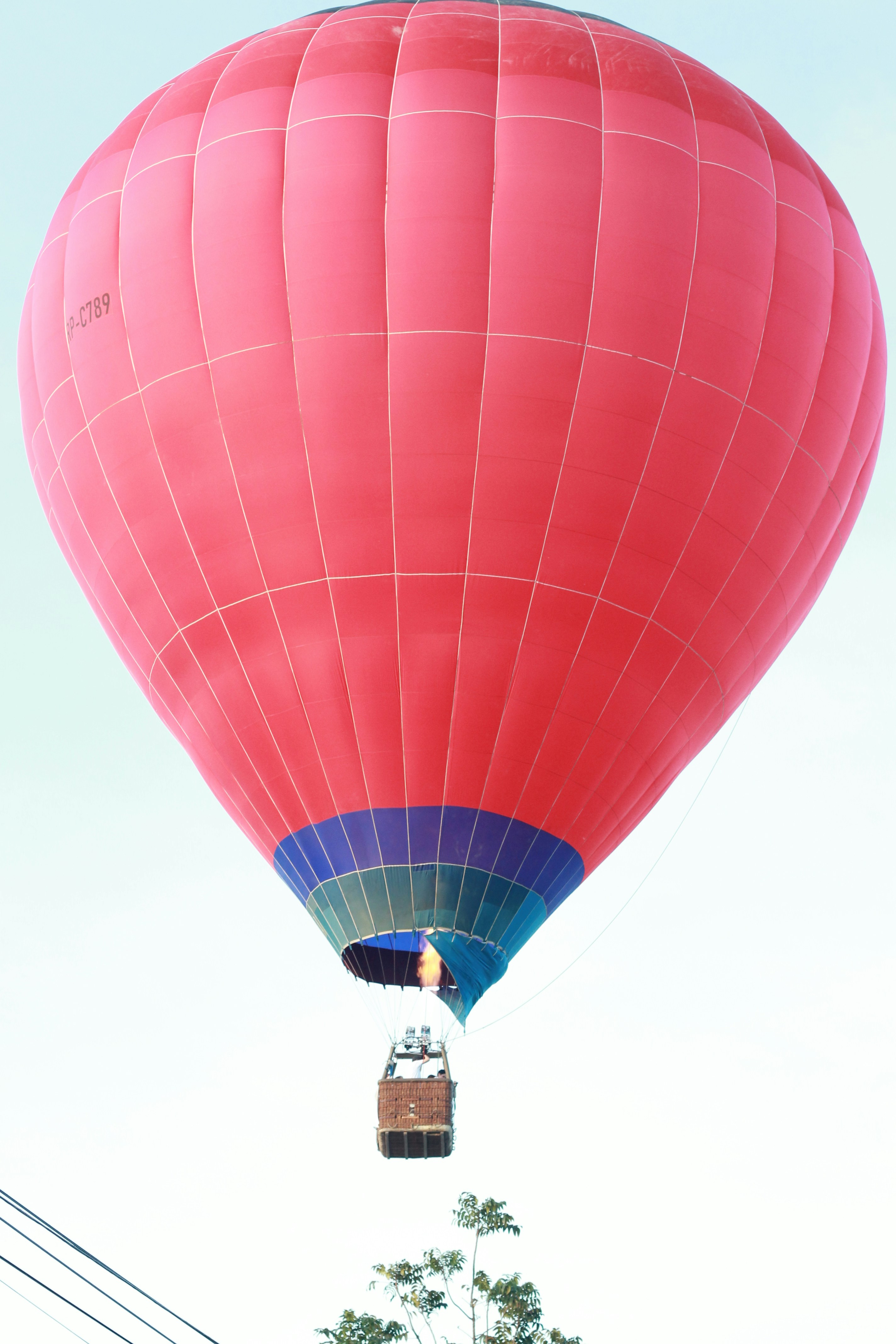 A large hot air balloon flying through a blue sky photo – Free Red ...