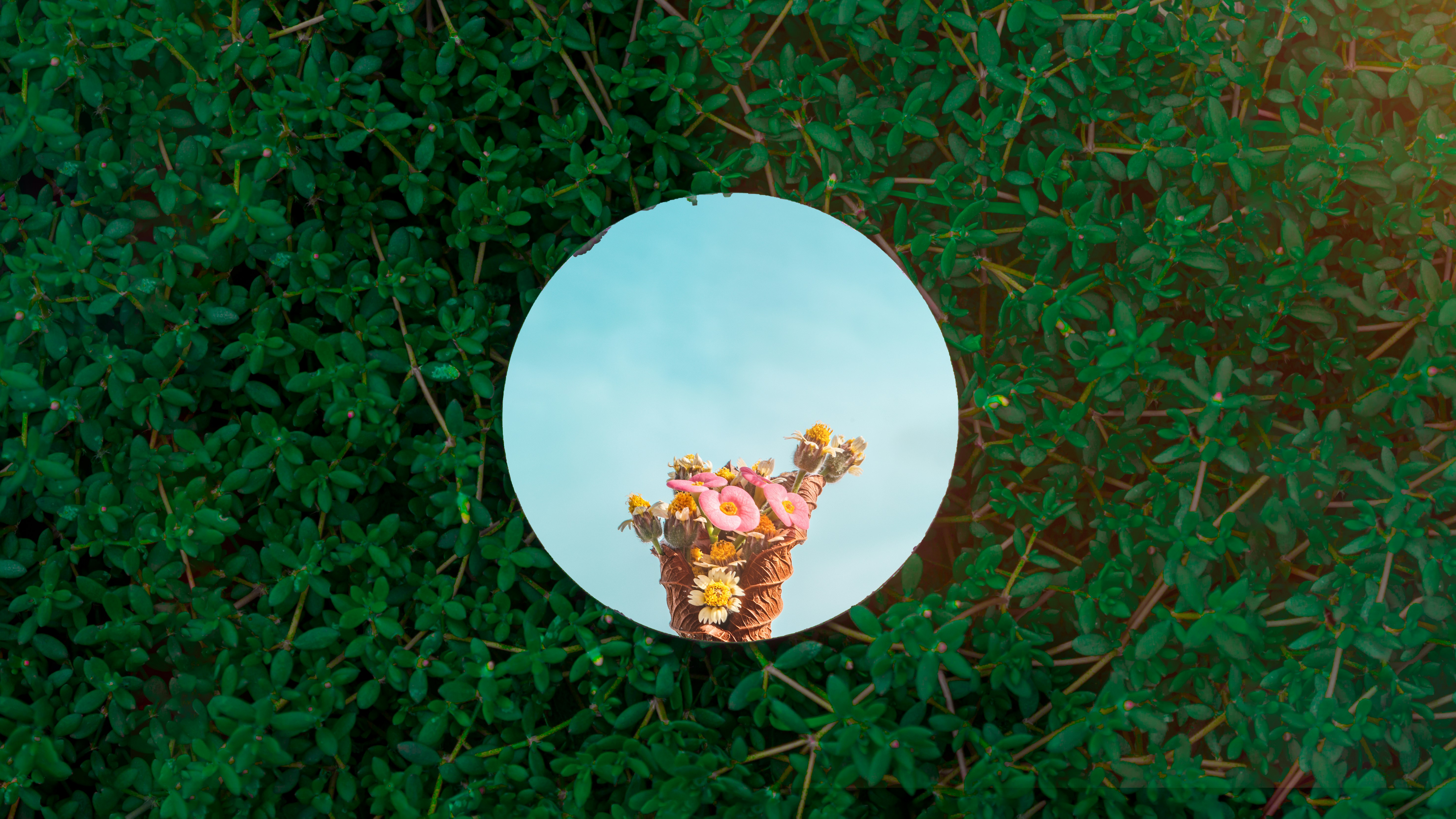 Sweet Bloom in a Leafy Orbit