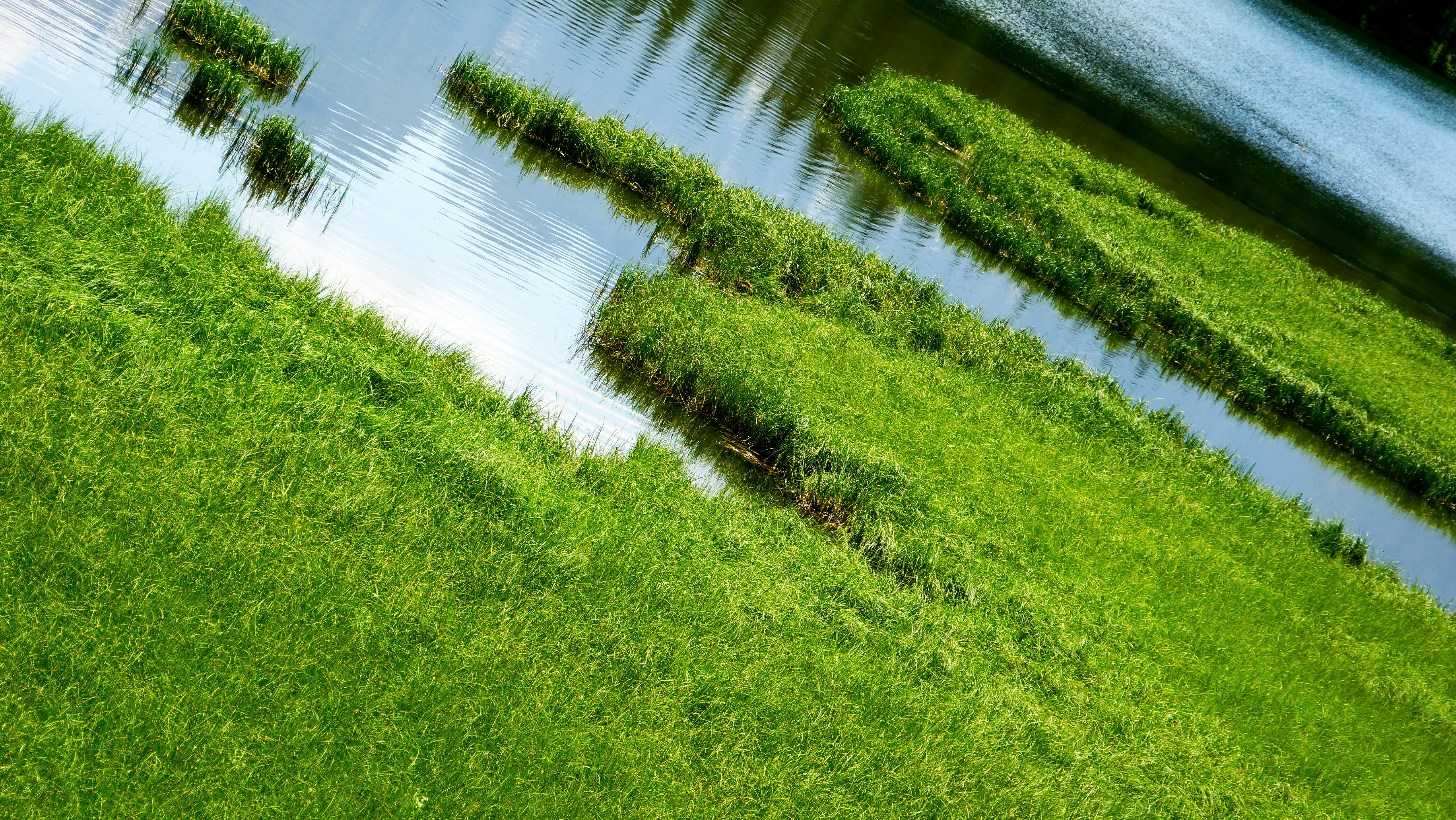 a grassy field with water and trees in the background