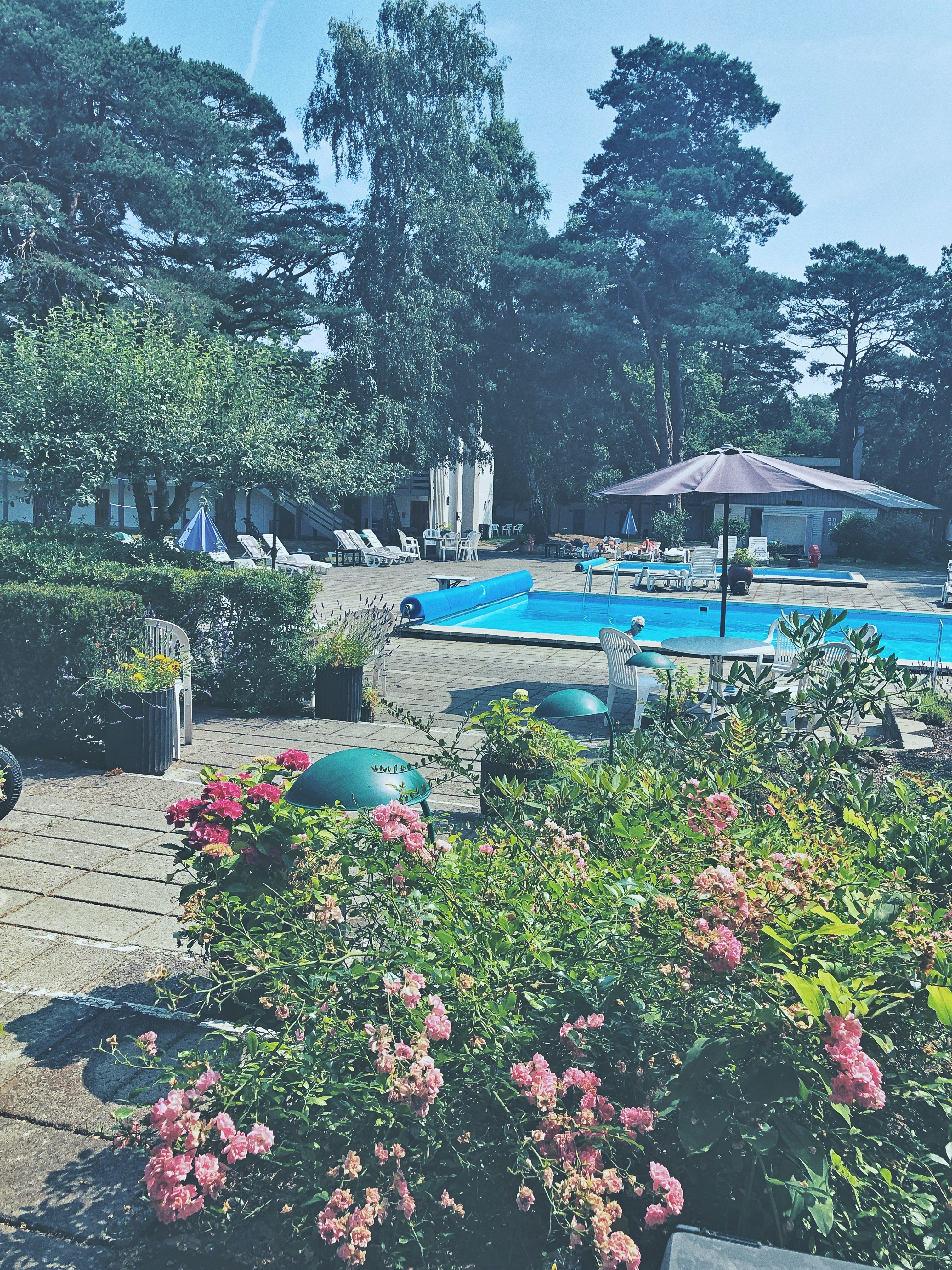 Sunlit Poolside Oasis with Pink Blooms in the Foreground