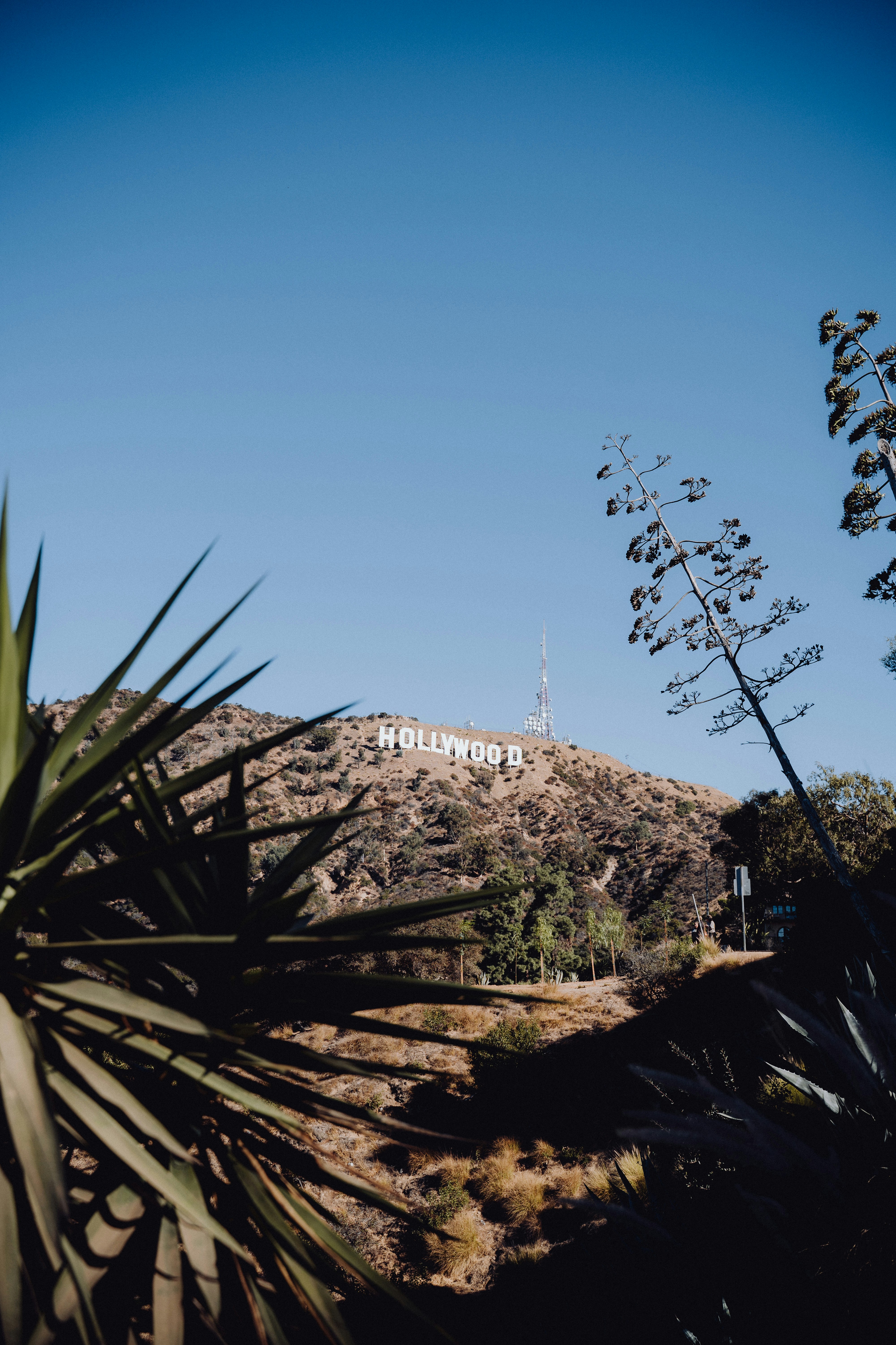 A view of the hollywood sign from a distance photo – Free Blue Image on ...