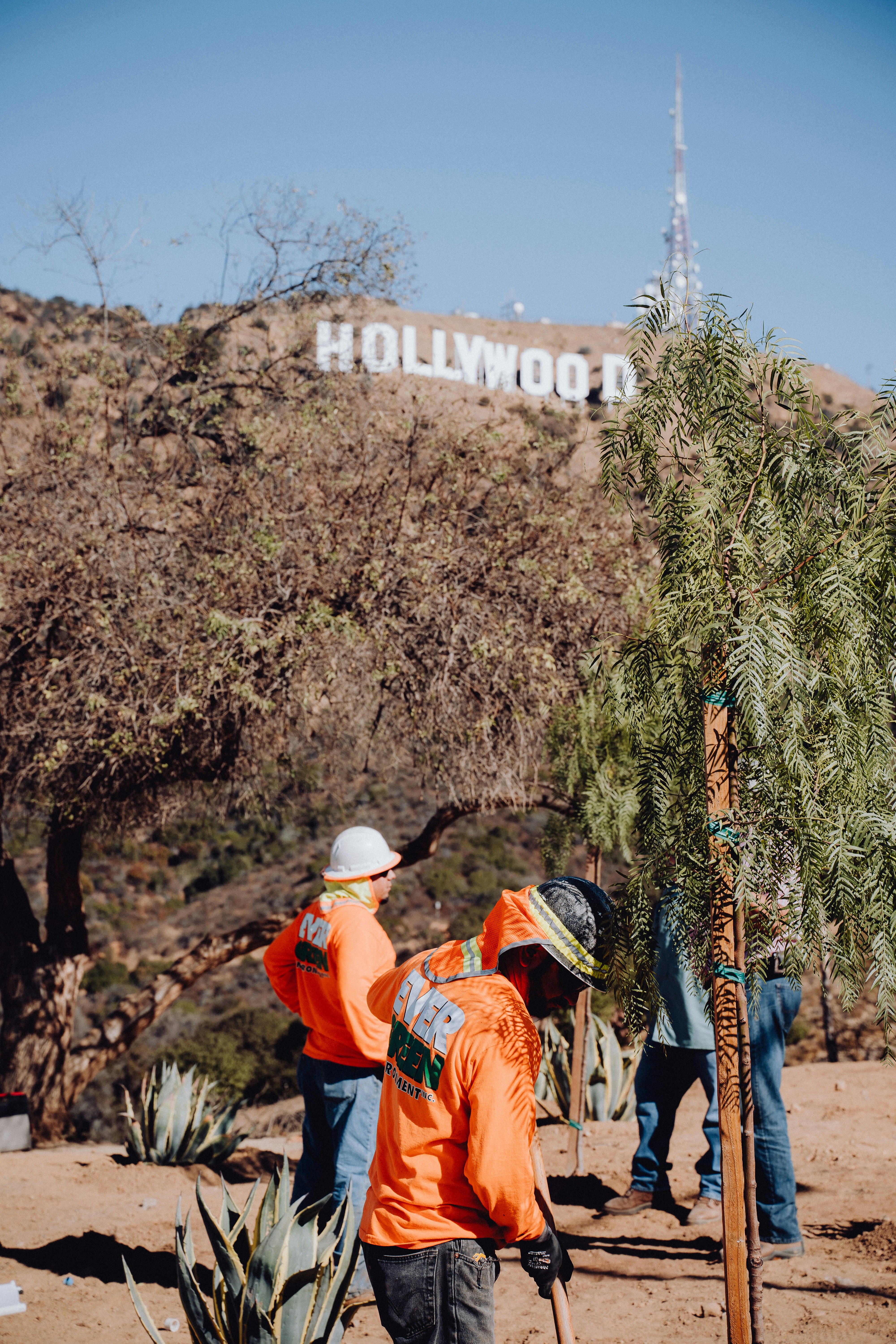 Dusty Hollywood Hills Crew: Orange jackets under a sunlit sky