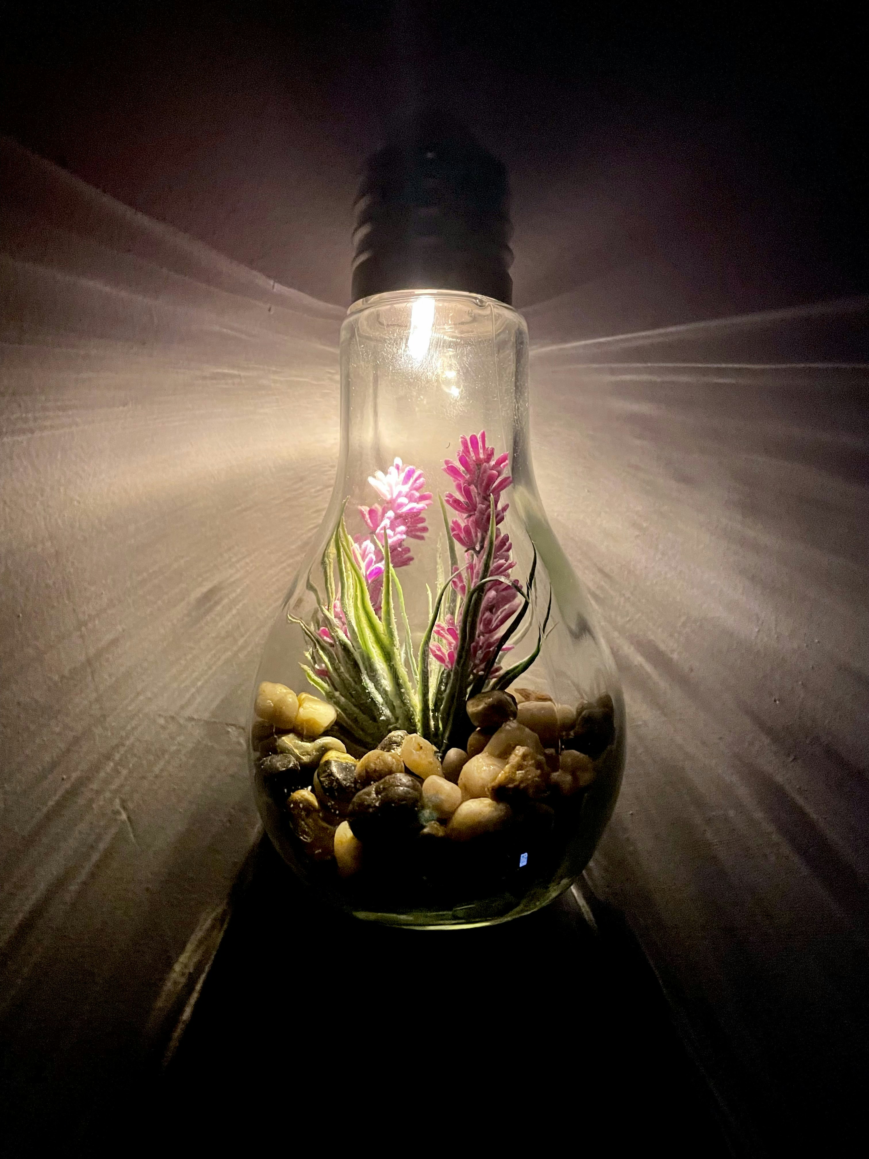 Pebble Garden in a Glass Bulb Lantern
