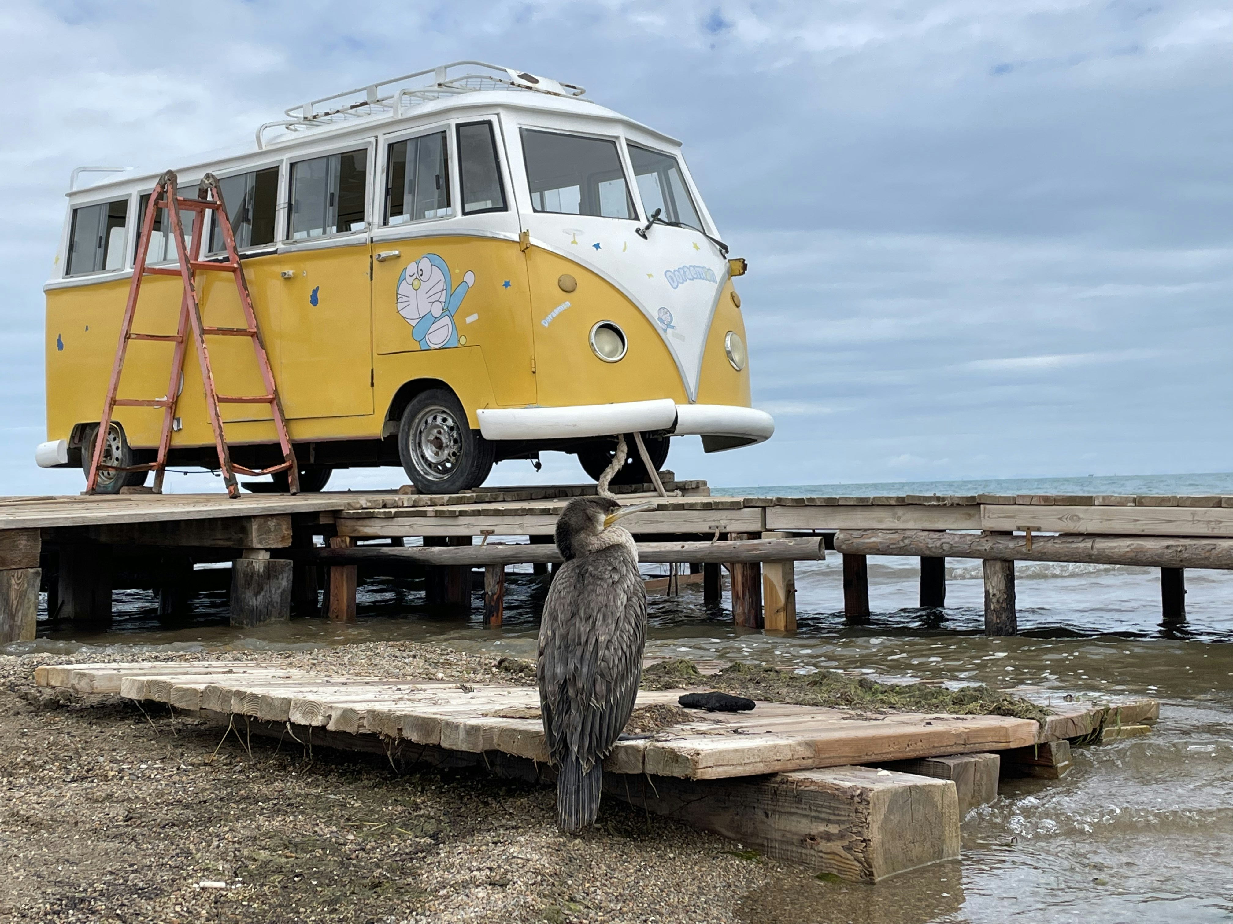 Coastal Contrast: Vintage VW Bus and a Patient Heron on a Weathered Pier