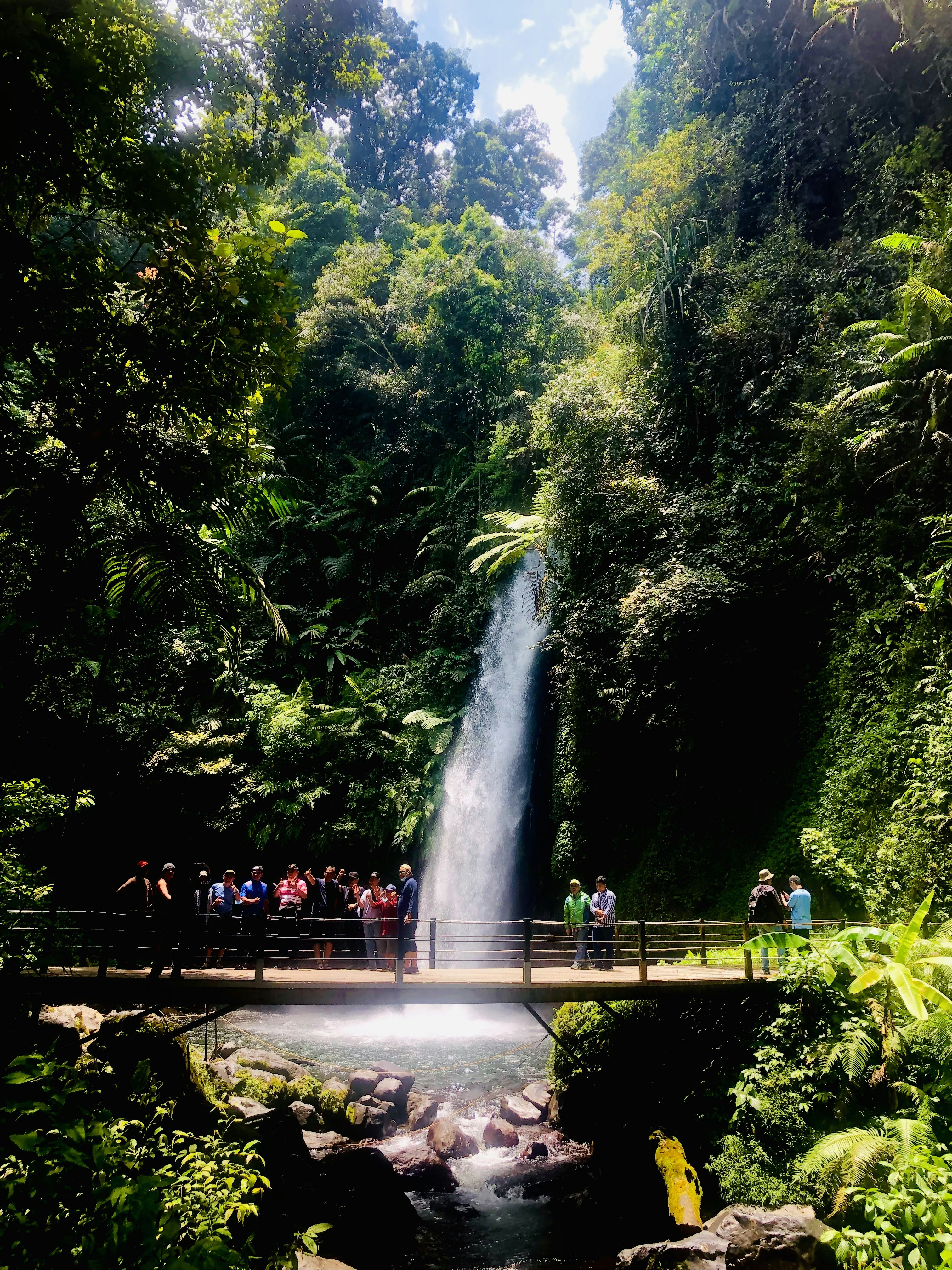 Visitors congregate on a bridge overlooking a majestic waterfall surrounded by lush greenery. The scene captures the harmony between nature and human presence.