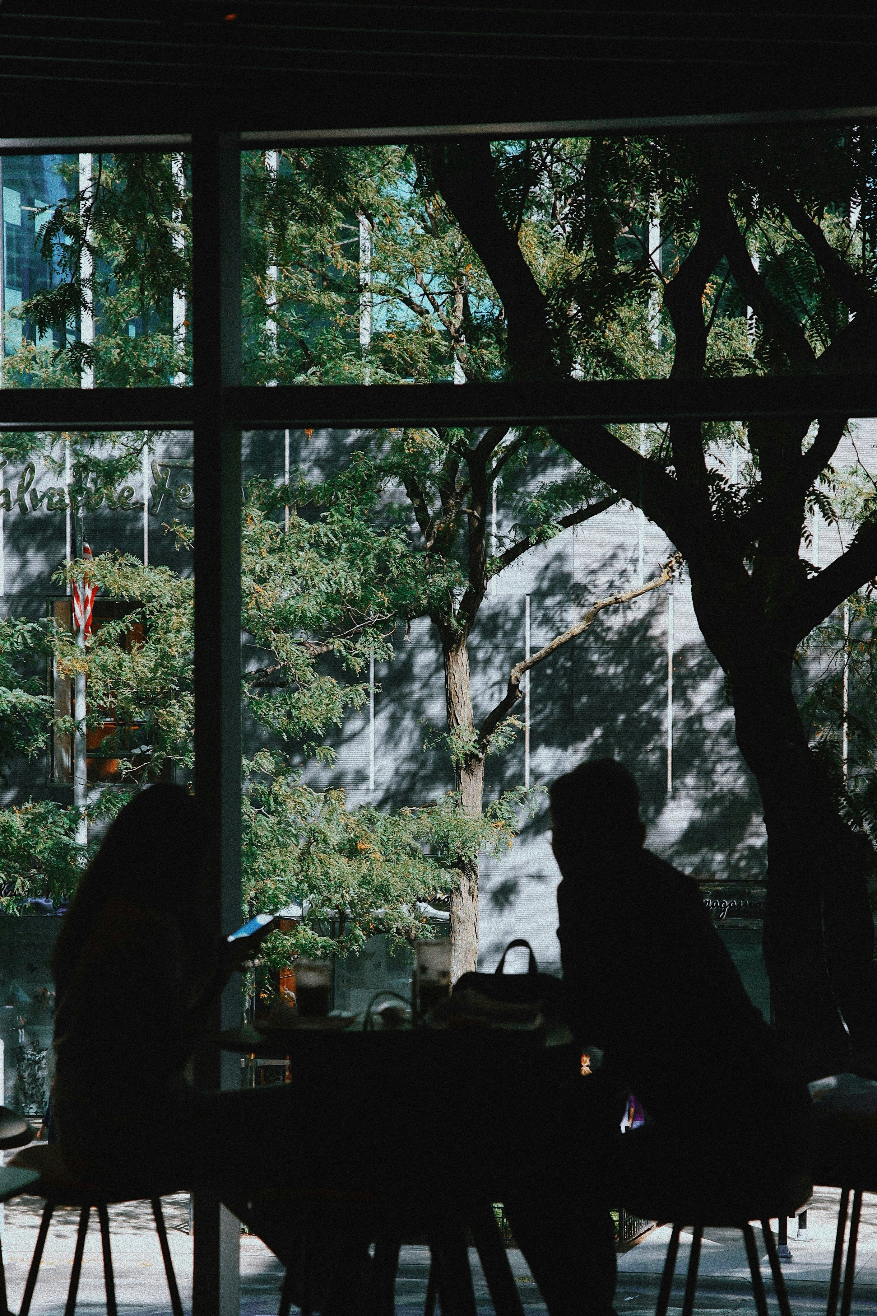 Silhouetted figures seated at a table inside, with sunlight filtering through trees outside the window.